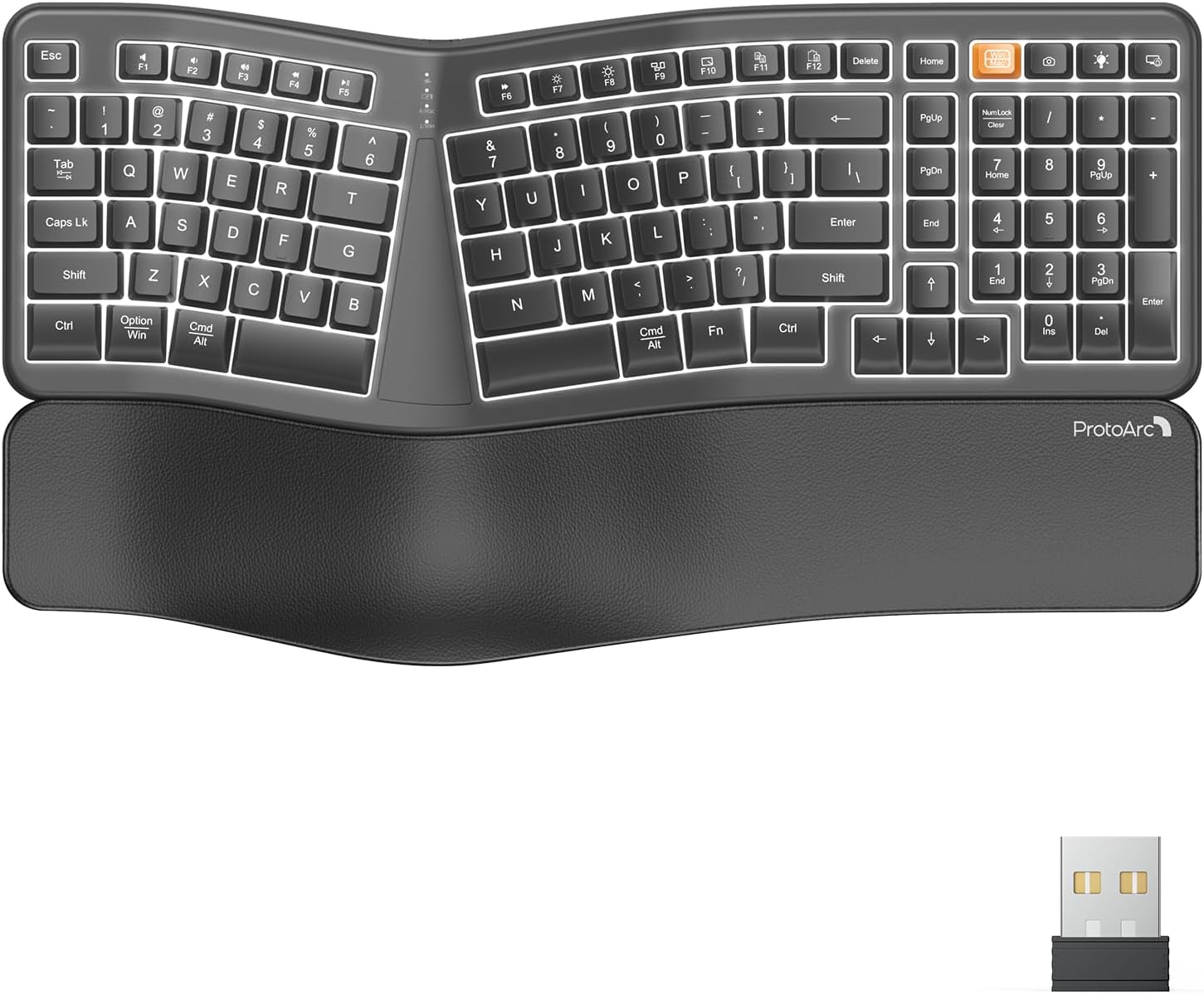Amazon.com: ProtoArc Backlit Wireless Ergonomic Keyboard, EK03 2.4GHz ...
