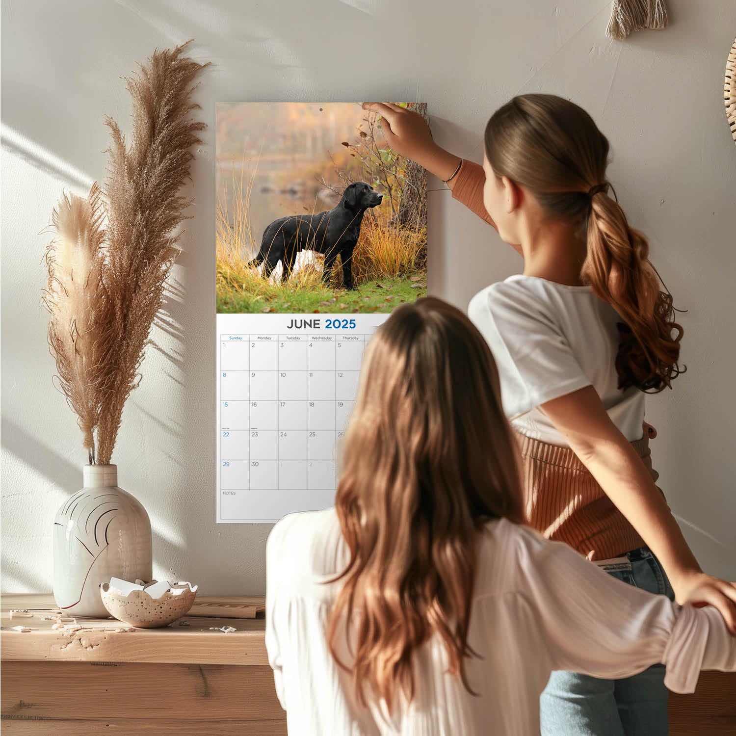 Snapklik.com : 2025 Black Labrador Calendar - Dog Breed Wall Calendar ...