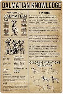 Amazon.com: Ball Python Knowledge Metal Tin Signs Ball Python ...