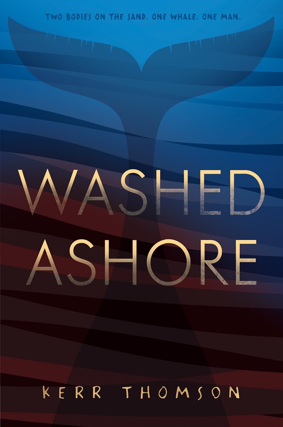 Amazon.com: Washed Ashore: 9780545904209: Thomson, Kerr: Books
