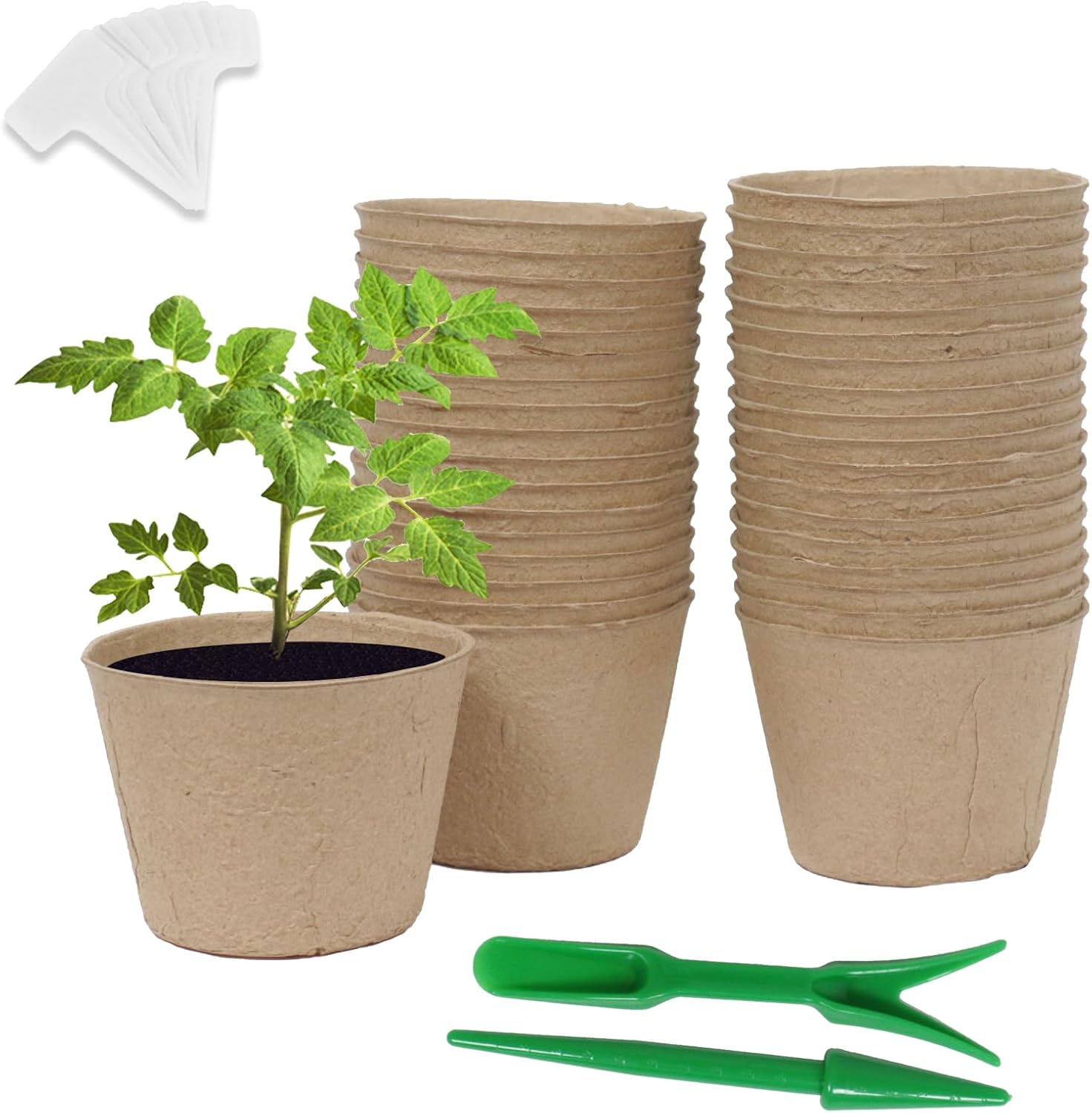 Amazon.com: Niiiice 36 Packs 4 inch Peat Pots, Biodegradable Peat Pots ...