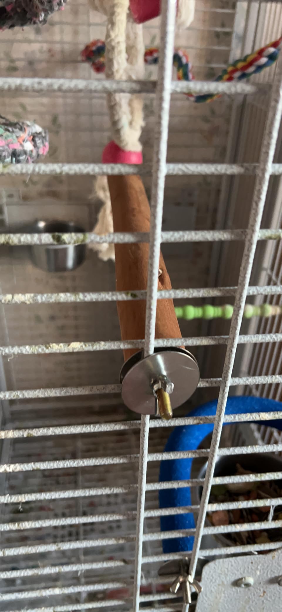 PARROT ESSENTIALS Large Natural Wood Perch for Parrot, African Grey ...