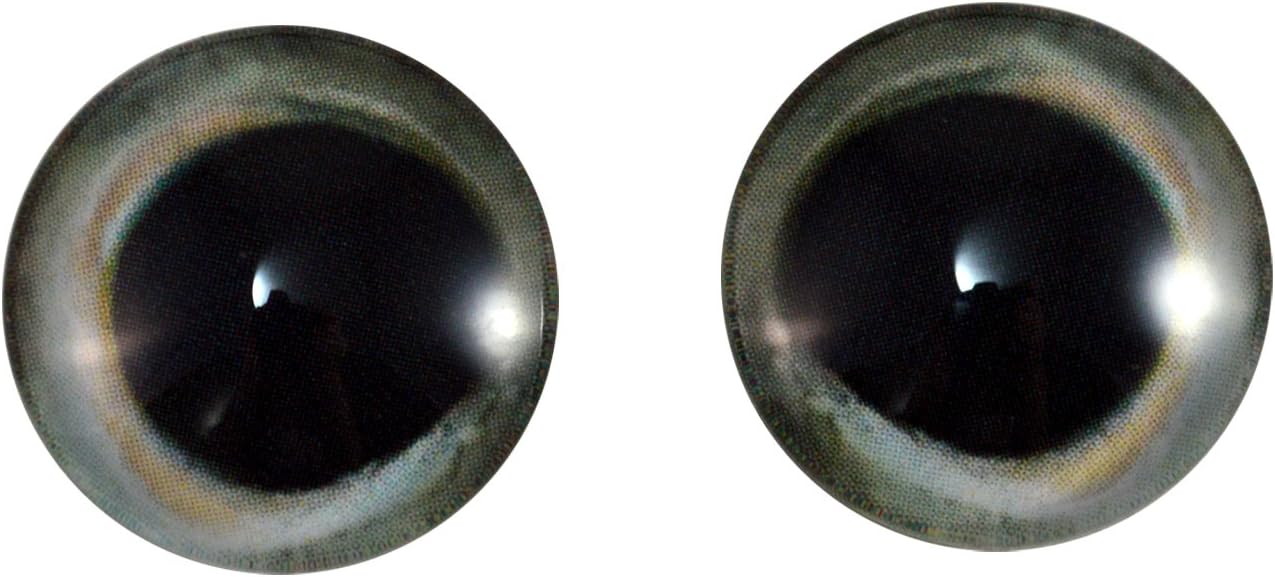 Amazon.com: 20mm Pair of Skipjack Tuna Fish Eyes Glass Eye for ...