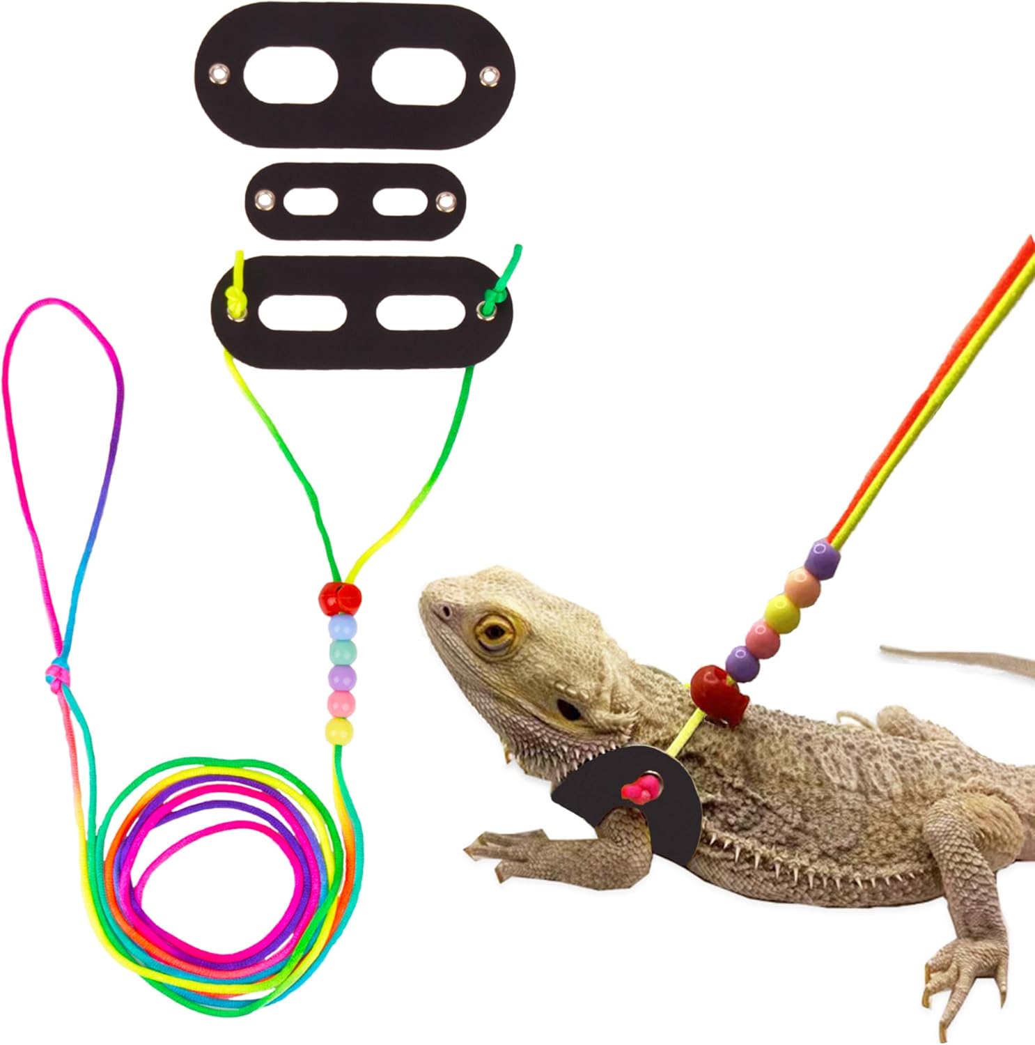 Amazon.com : ADOGGYGO Bearded Dragon Leash Harness - Adjustable ...
