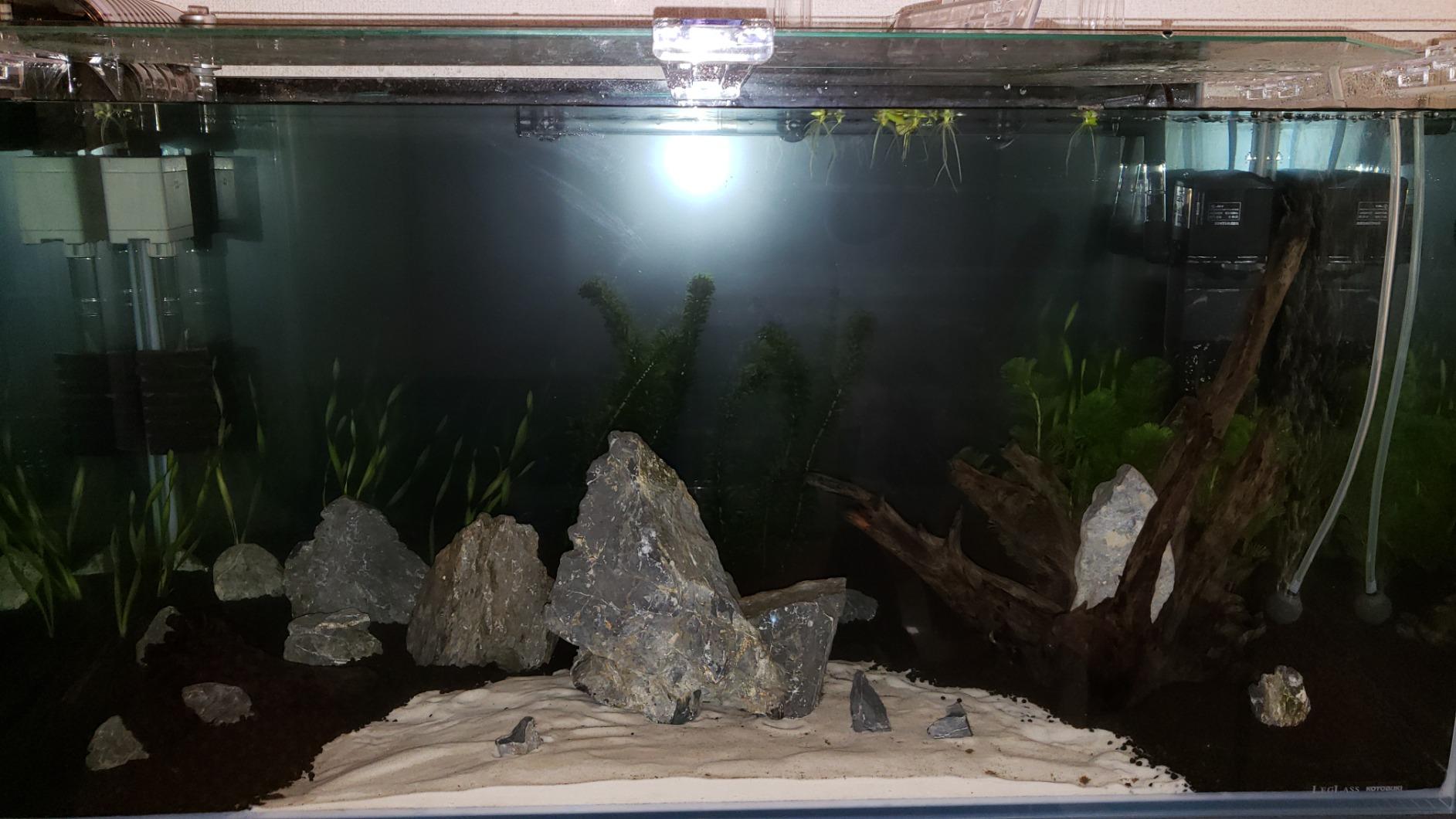 Amazon | ジェックス GEX AQUA FILTER e-ROKA イーロカ PF701 ロングシャワー方式 エアレーション機能 流量調整機能付き水中モーターフィルター幅60-90cm ...