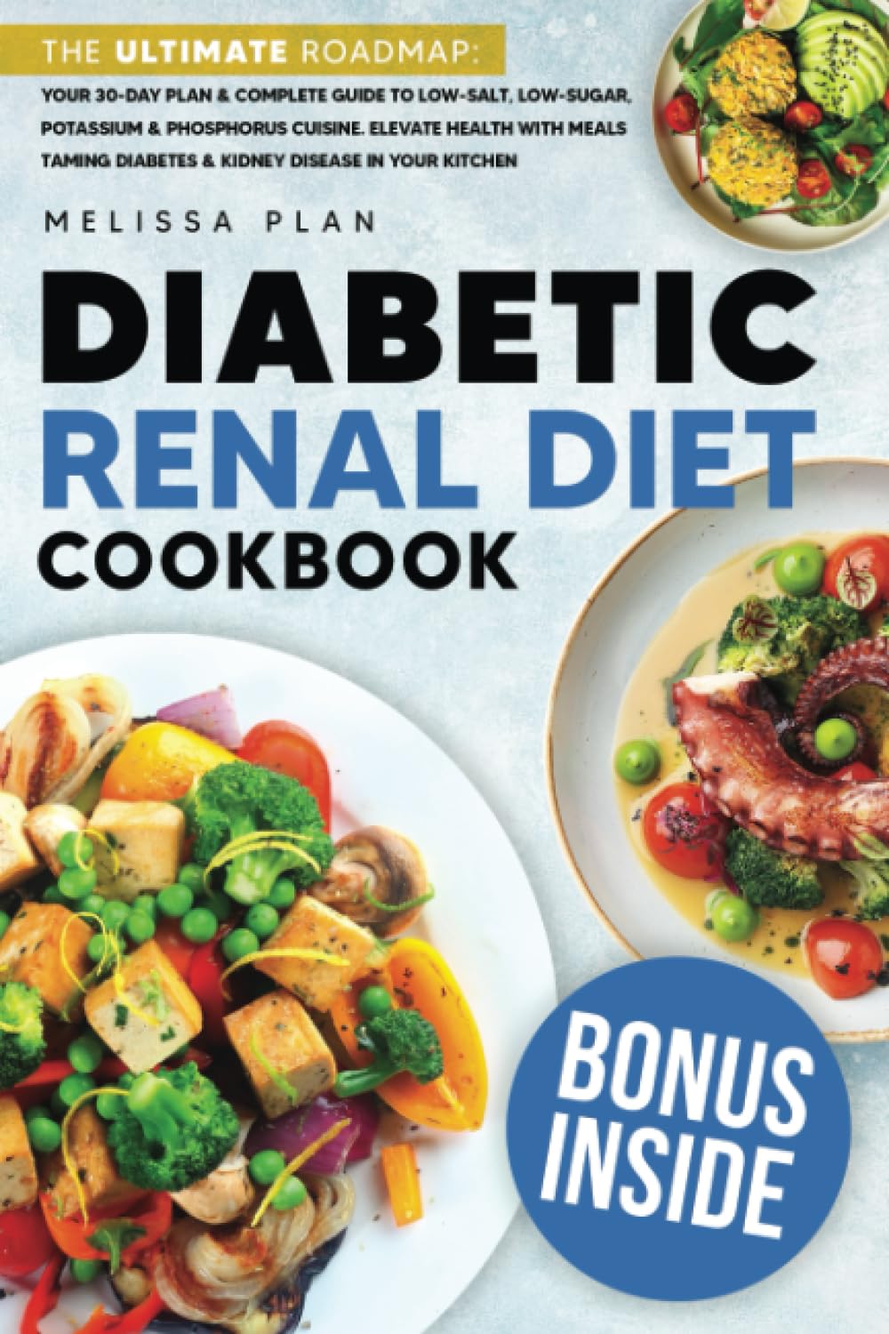 DIABETIC RENAL DIET COOKBOOK: The Ultimate Roadmap: Your 30-Day Plan ...