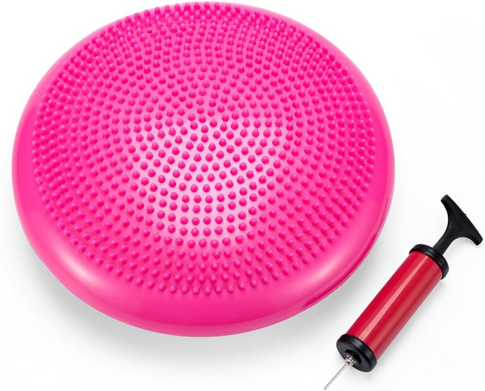 Amazon.com: Premium Core Stability Disc 33cm Exercise Fitness Core ...