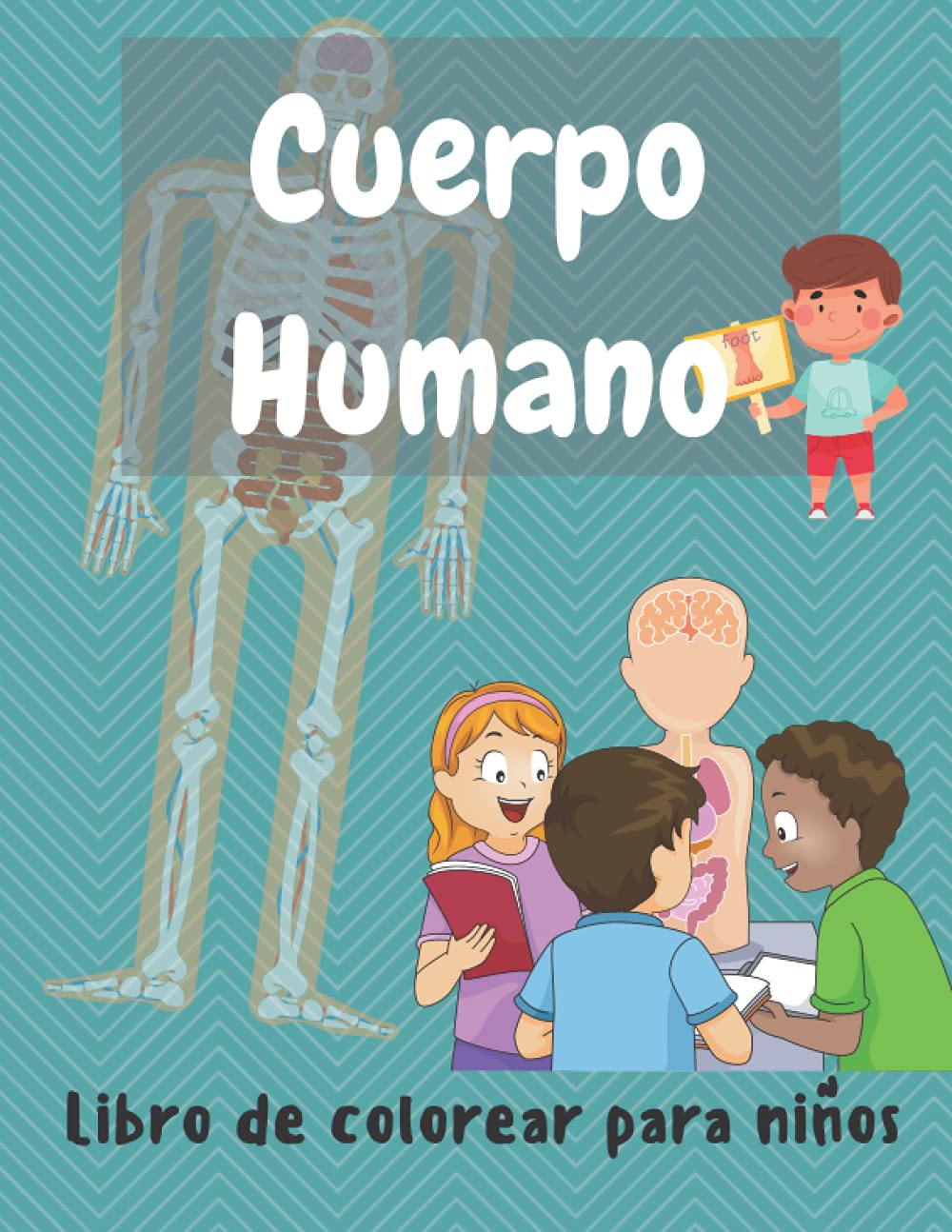 Buy Cuerpo Humano - Libro de colorear para niños: 32 Partes de la ...