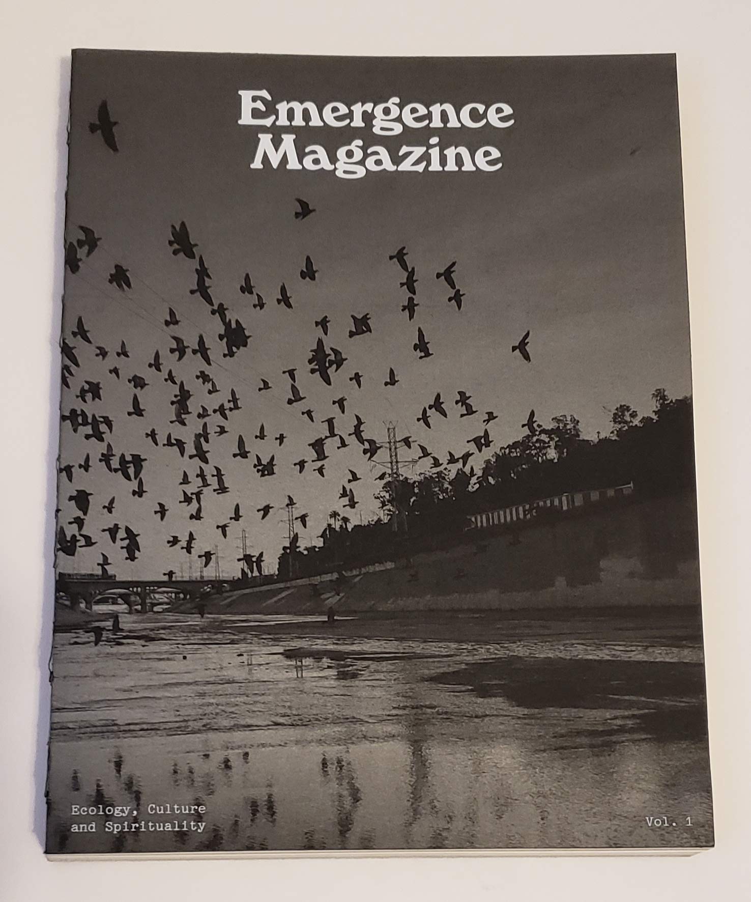 Emergence Magazine Vol. 1: Amazon.com: Books