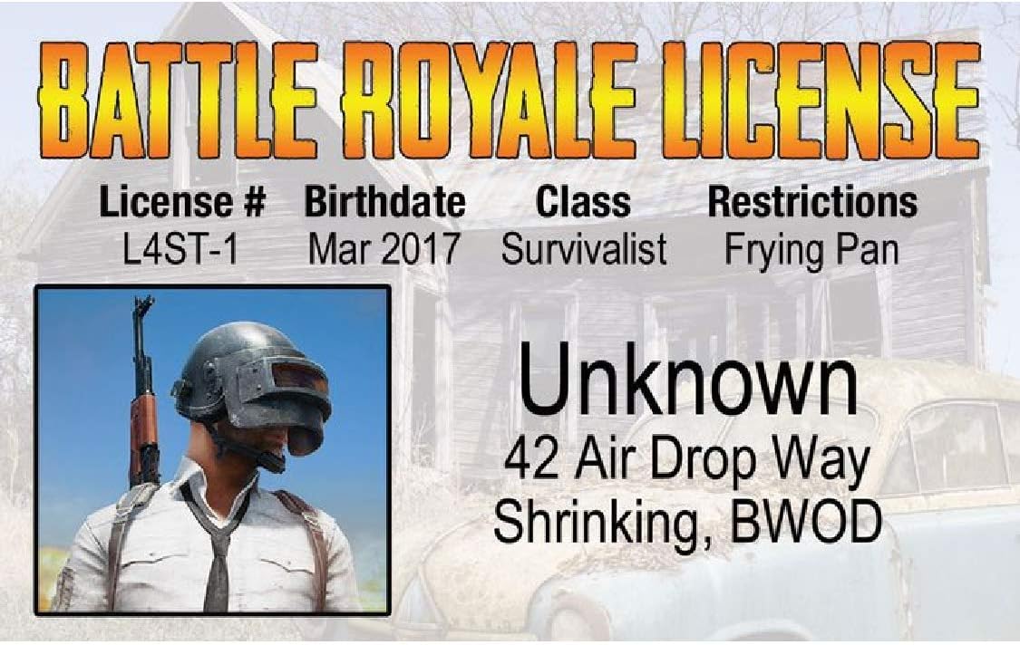 Amazon.com: Signs 4 Fun Parody Driver’s License | Battle Royale ID ...