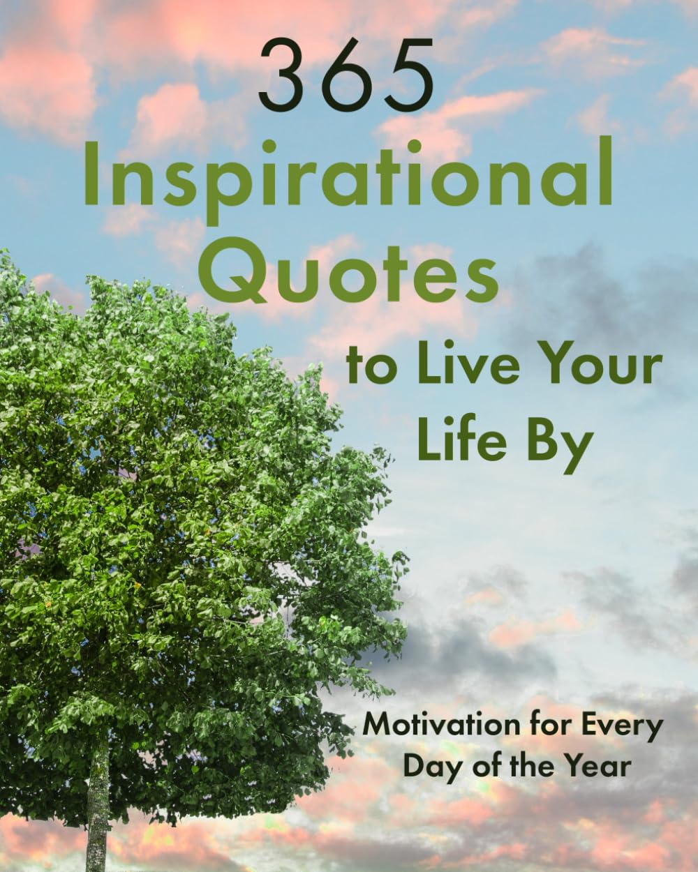 365 Inspirational Quotes to Live Your Life By: Motivation for Every Day ...