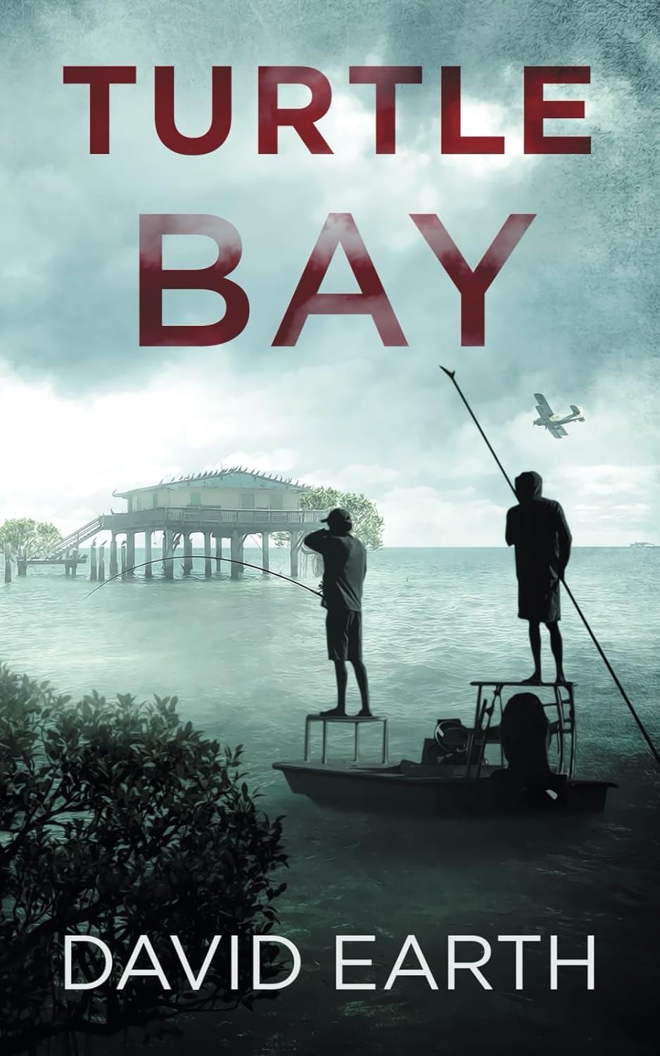 Amazon.com: Turtle Bay: 9781734459012: Earth, David: Books