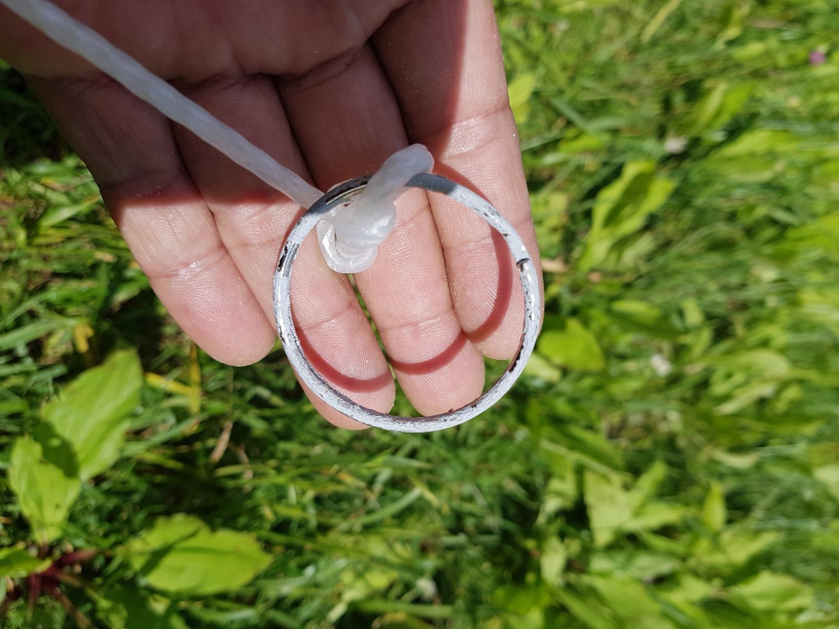 Eagle Claw 70-Inch Heavy Duty Cable Stringer, Terminal Tackle - Amazon ...