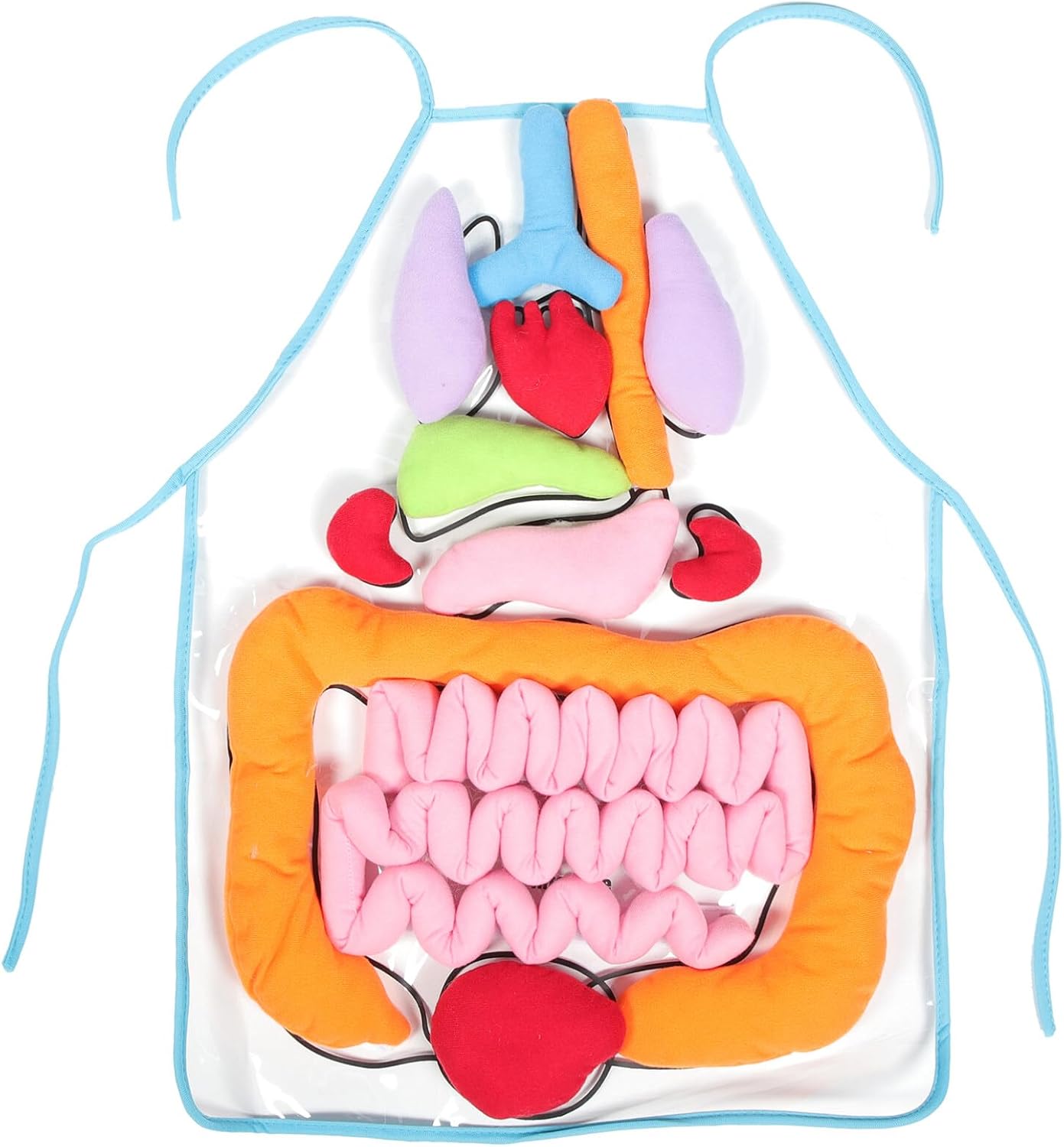 Amazon.com: POPETPOP Classroom Study 3D Organ Apron Anatomy Apron Human ...