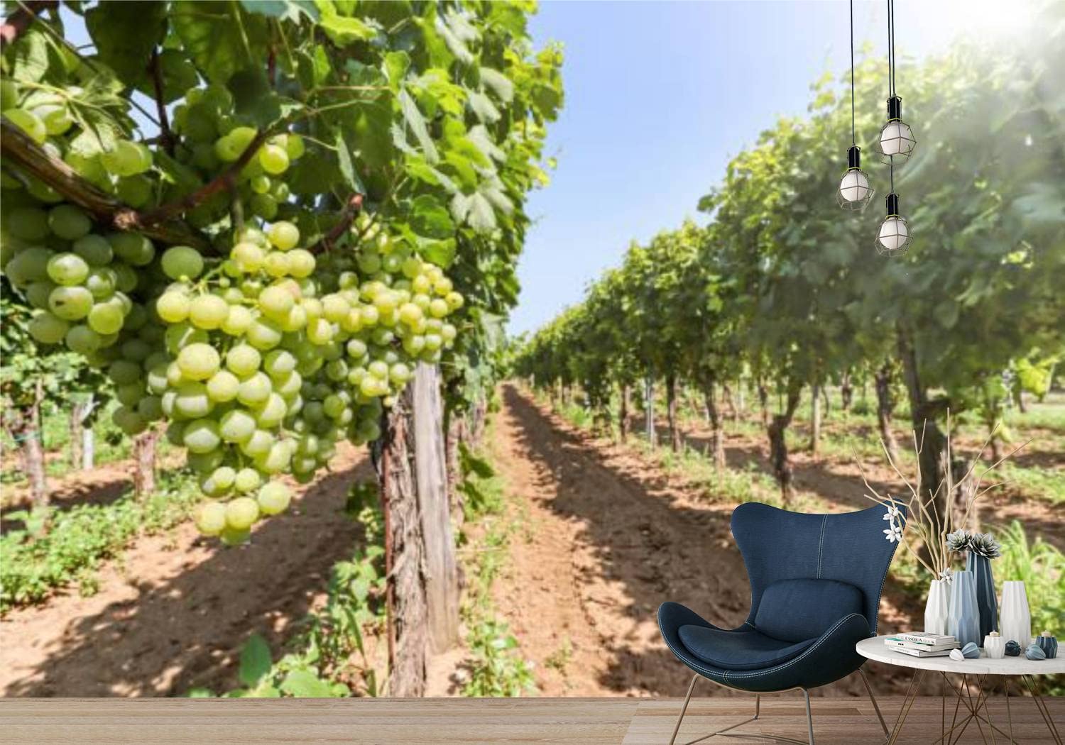 Wine Vineyard Wallpaper