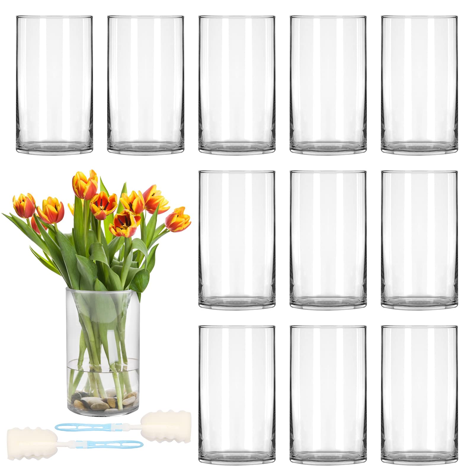 GUANENA 6 Inch Clear Glass Cylinder Vases, Set of 12 Flower Containers ...
