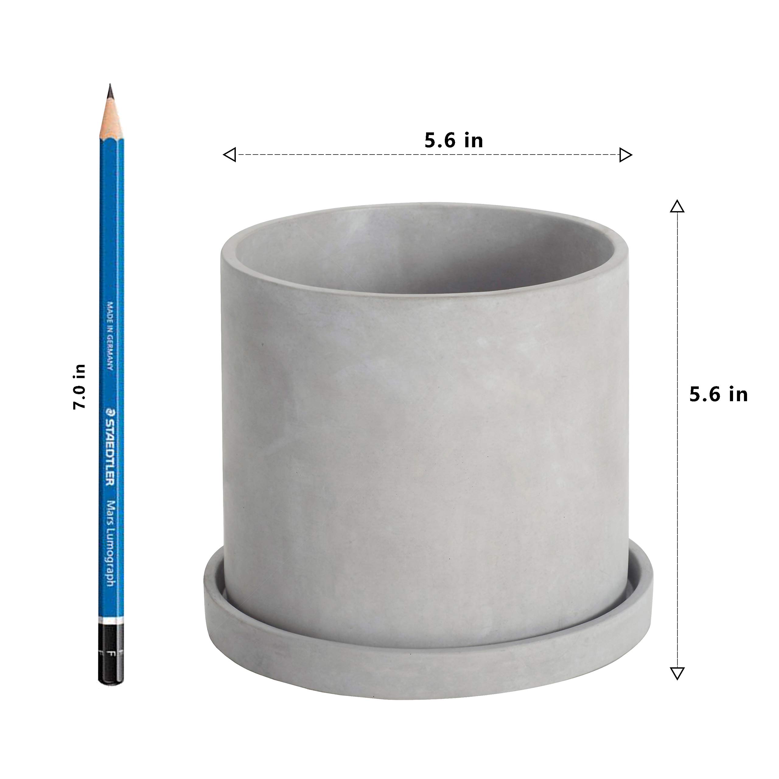 Ekirlin 5 inch Flower Plant Pot Indoor - Grey Cement Garden Planter ...