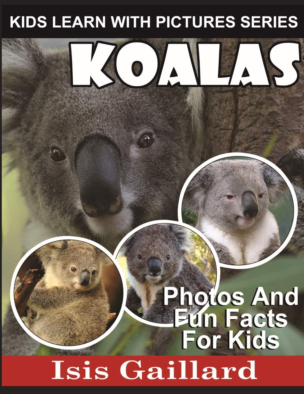 Koalas: Photos and Fun Facts for Kids (Kids Learn With Pictures ...