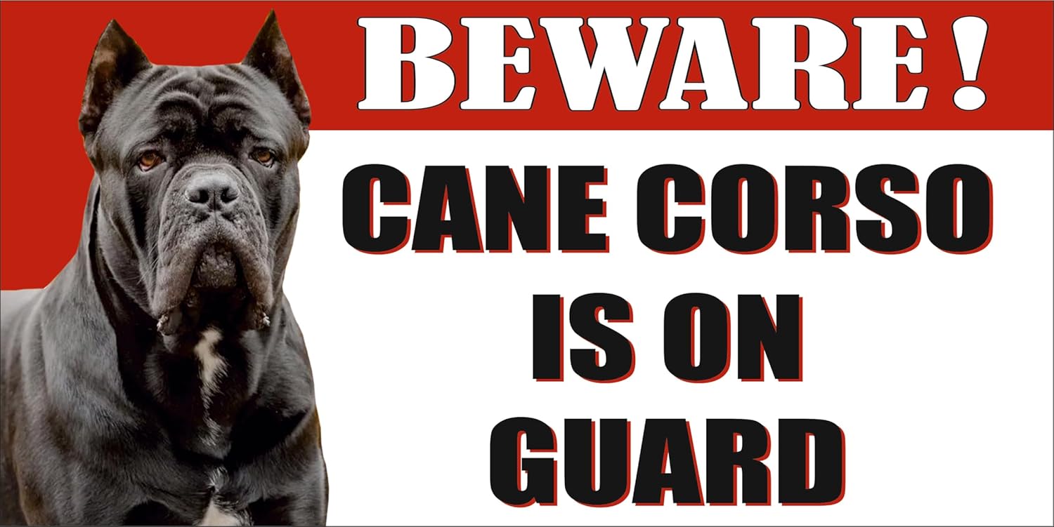 Beware of Cane Corso Reflective Sign Board : Amazon.in: Office Products