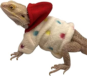 Amazon.com: Lizard Hoodie Asukohu Lizards Clothes for Bearded Dragon ...