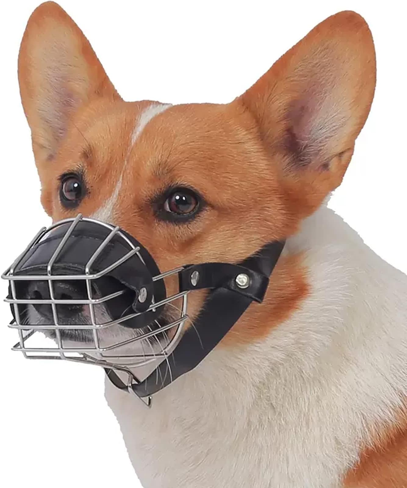 VVPONMEIQS Eisen Maulkorb für Labrador/Corgi/Deutscher Schäferhund ...