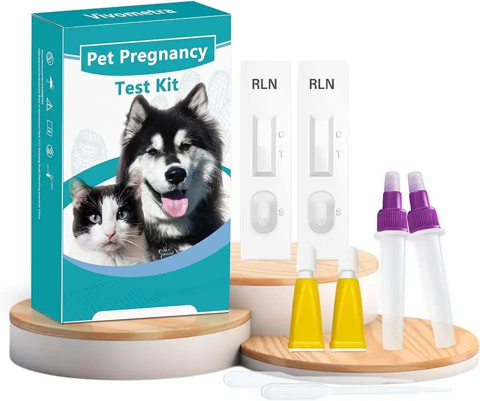 Using A Dog Pregnancy Test: A Step-By-Step Guide | ShunChild
