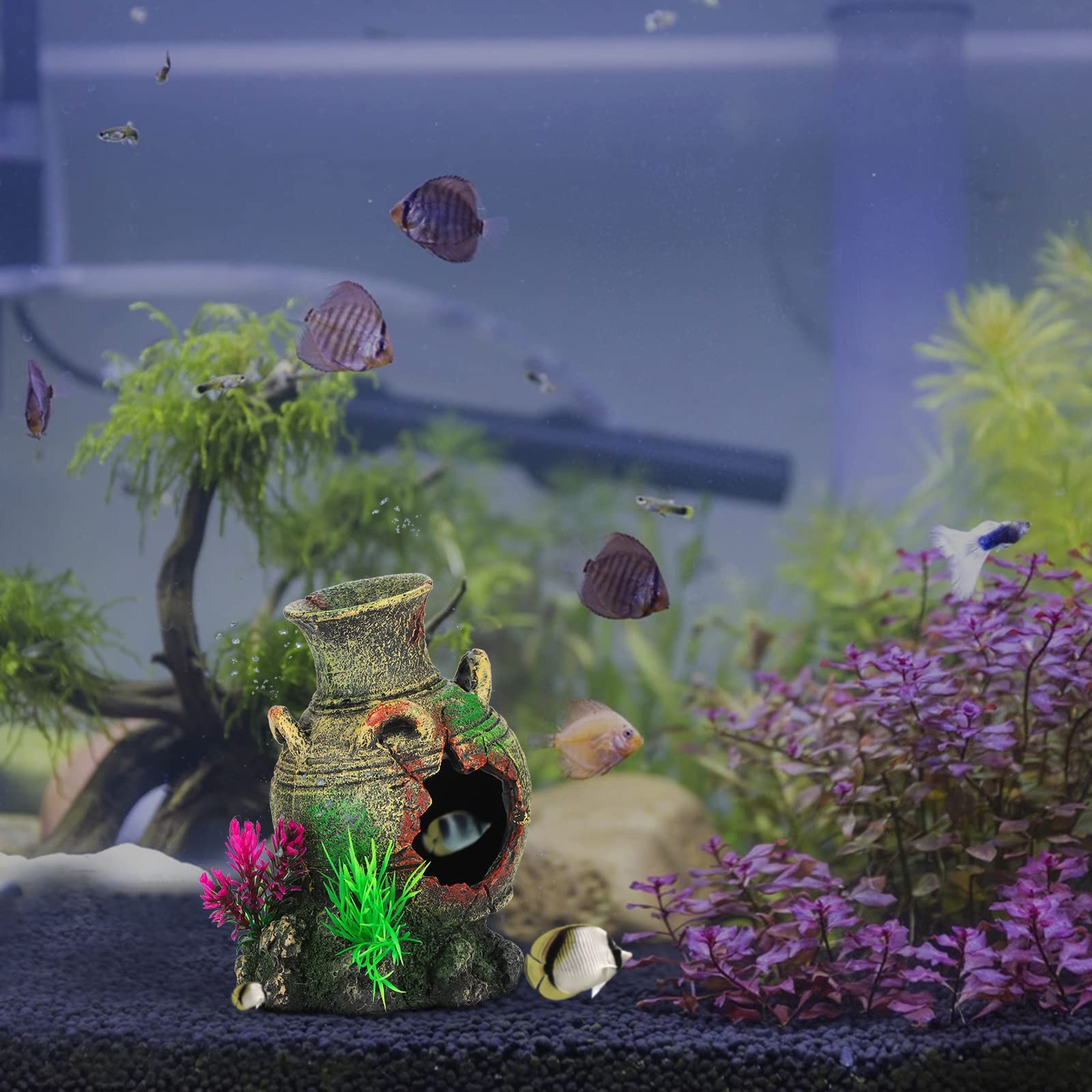Cool Fish Tank Decoration Ideas
