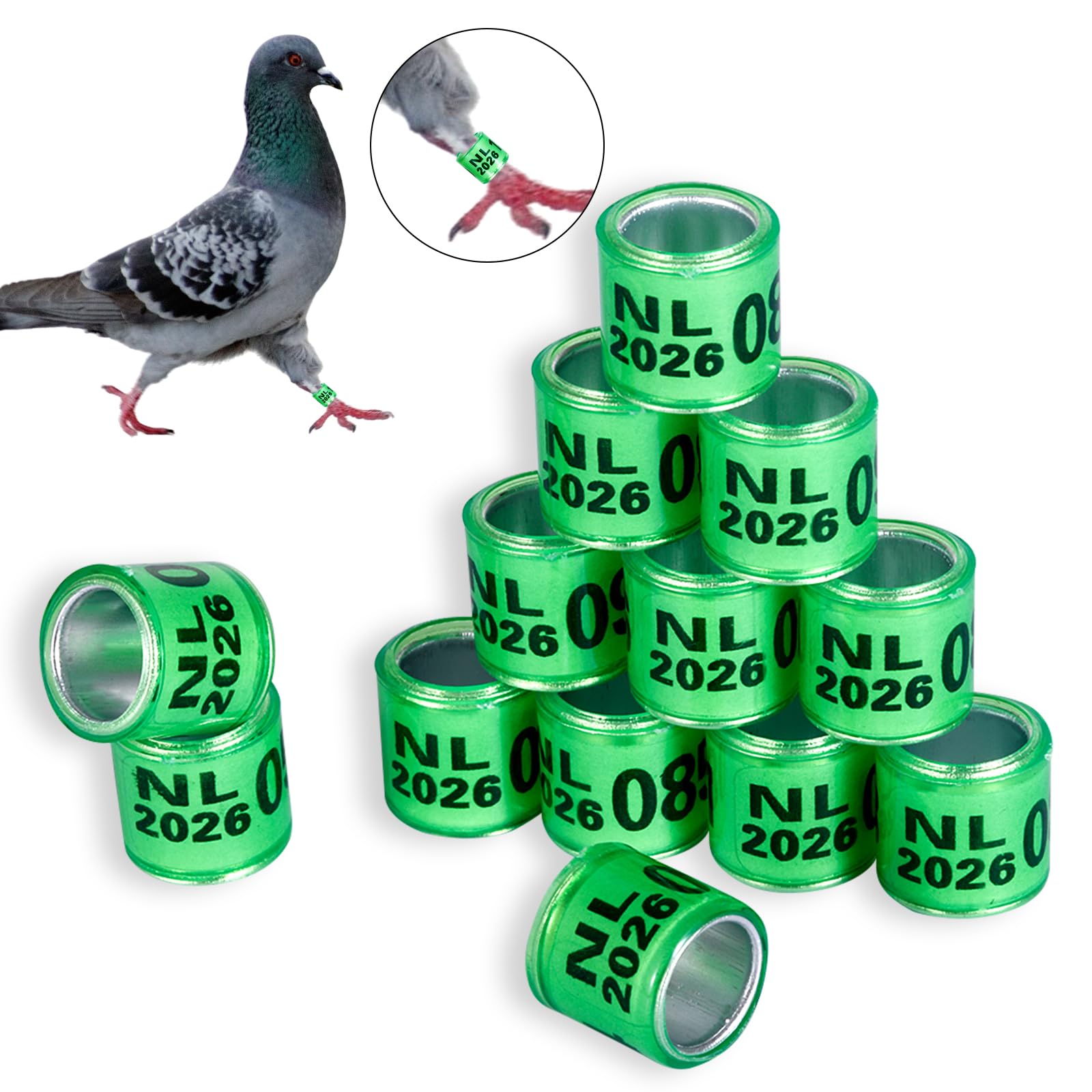 Training Rings 50pcs Practical 2025 Pigeon Leg Bands Aluminium Plastic ...