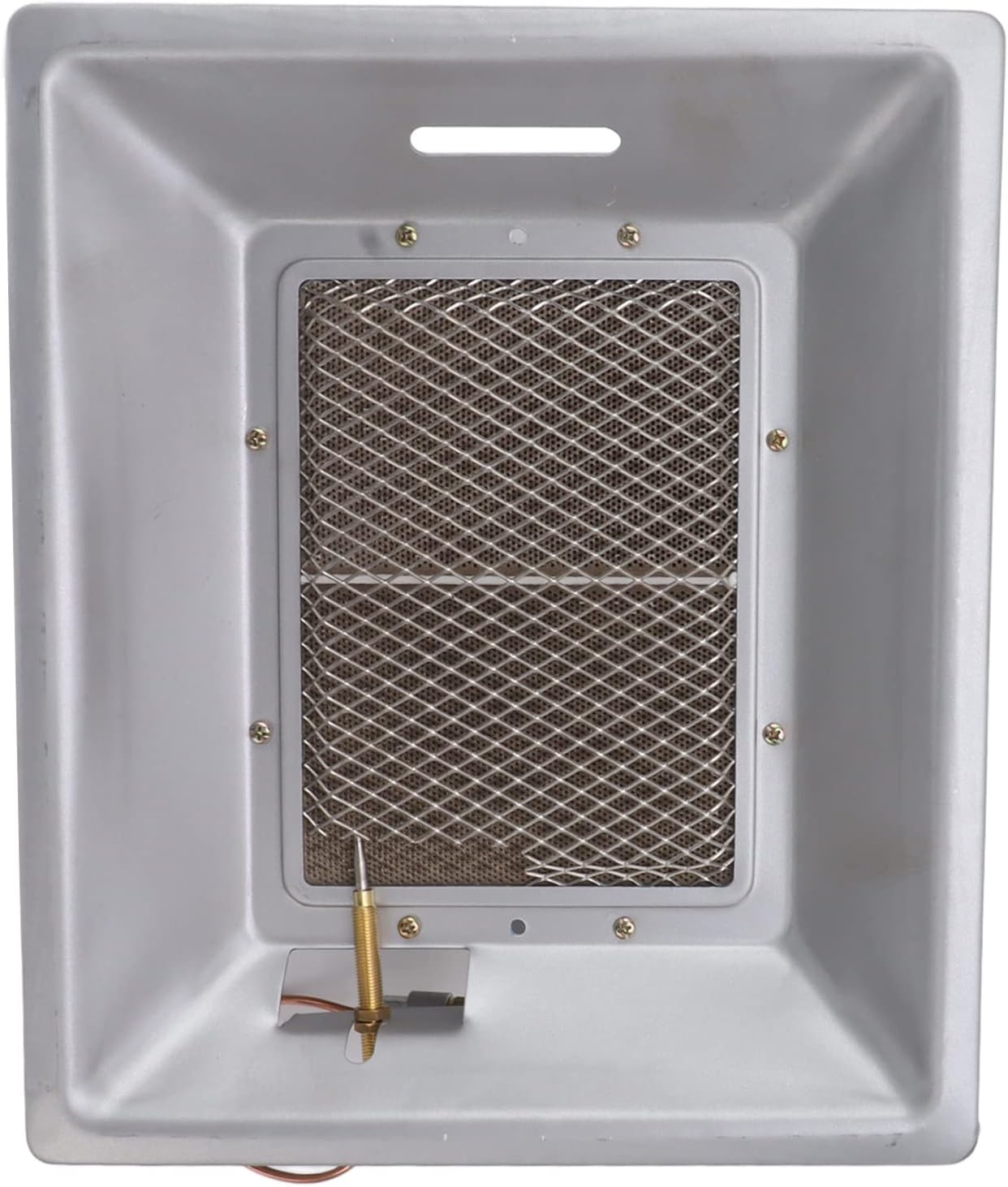 Amazon.com : Kuuleyn Chick Gas Brooder Heater,Chicken Coop Heater ...