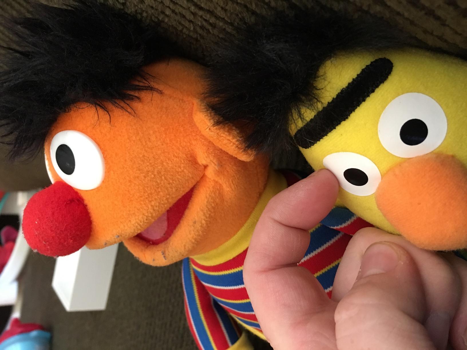 Amazon.com: Sesame Street Plush Bert, 11 Inch : Toys & Games