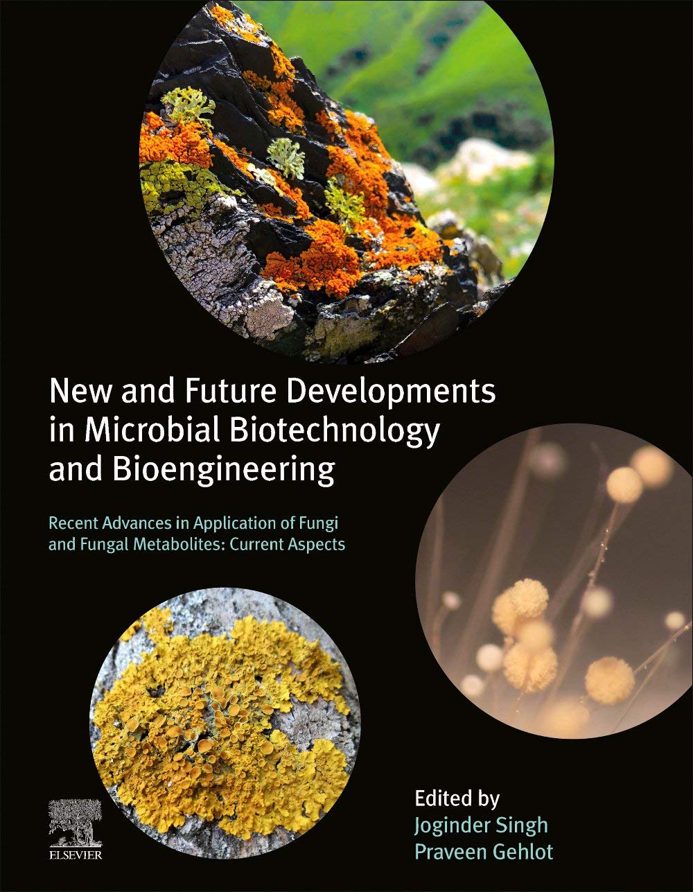 Amazon.com: New and Future Developments in Microbial Biotechnology and ...