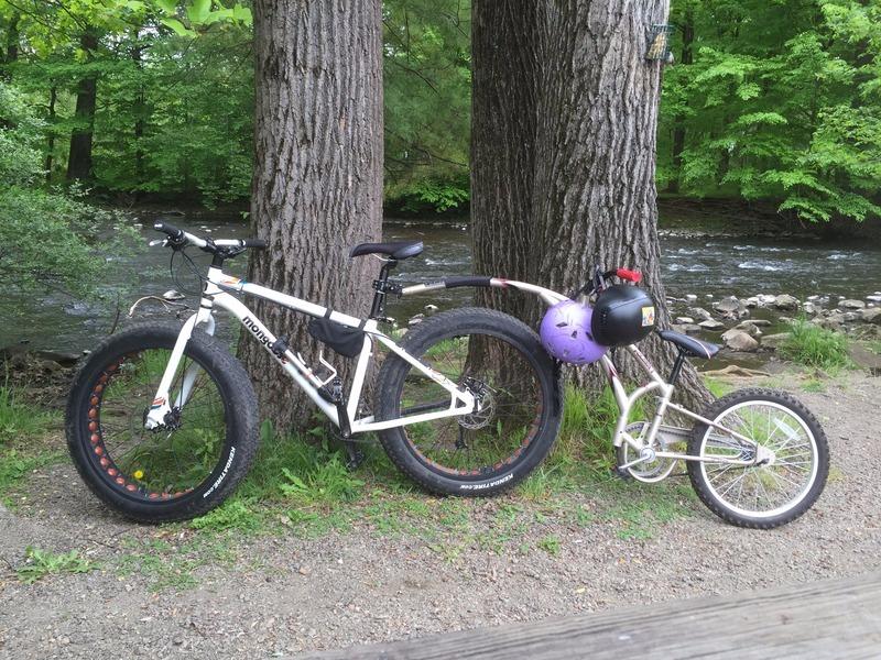 Amazon.com : Adams Trail-A-Bike Original Folder, Silver : Bike Trailers ...