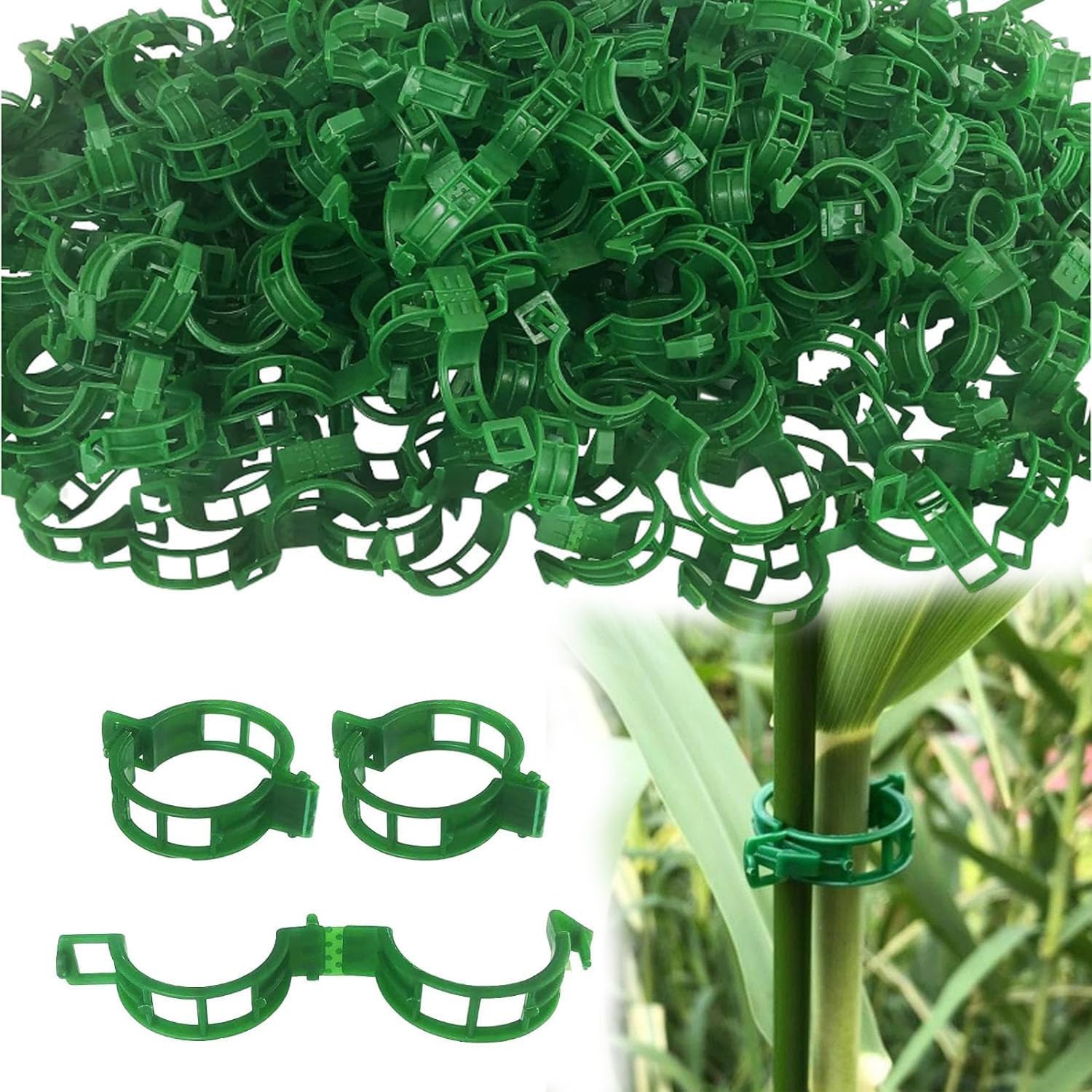 Amazon.com : Thcbme Garden Clips for Climbing Plants，Plant Support ...