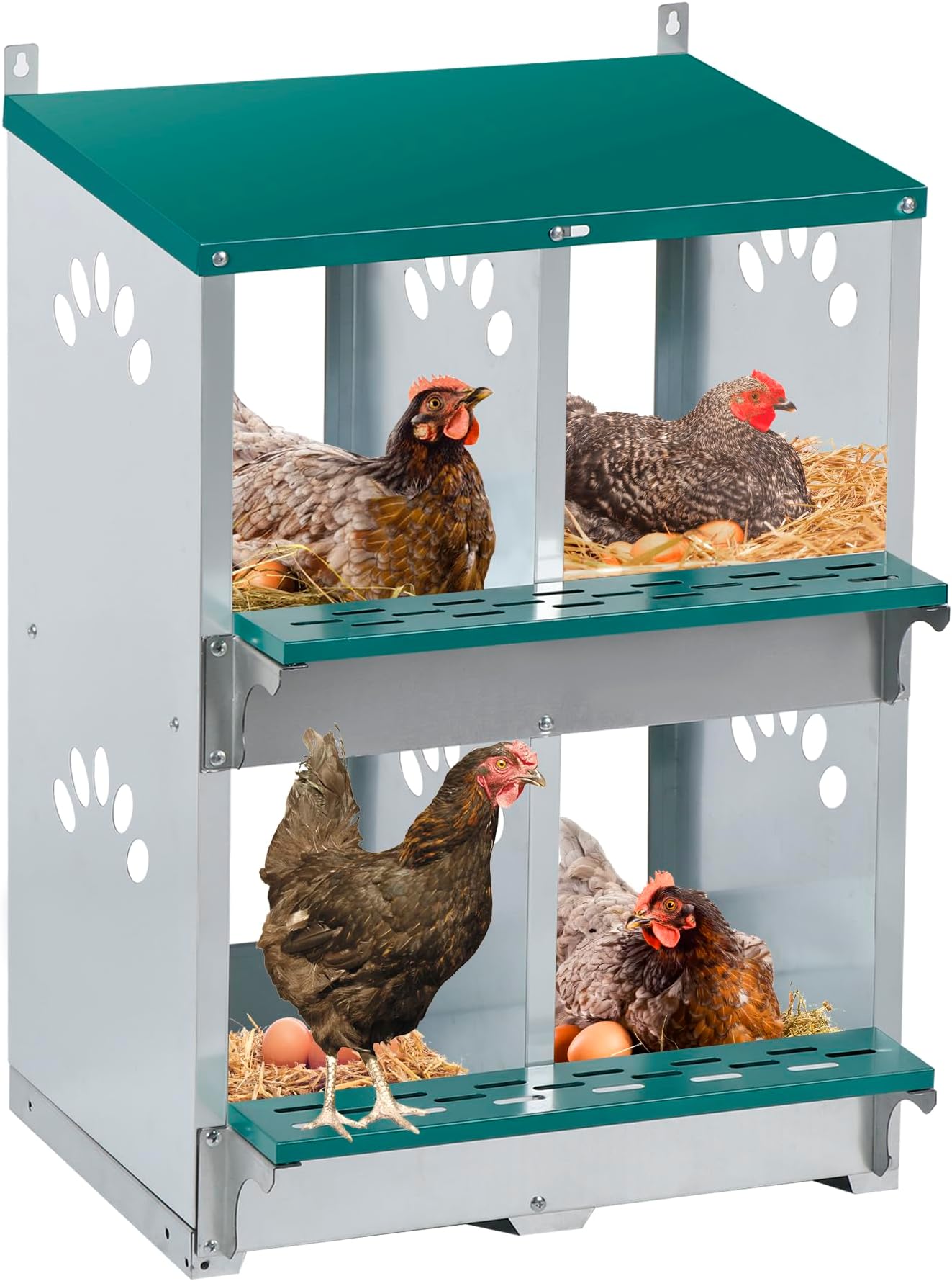 Amazon.com: Toriexon Chicken Nesting Box, 10 Compartment Nesting Box ...