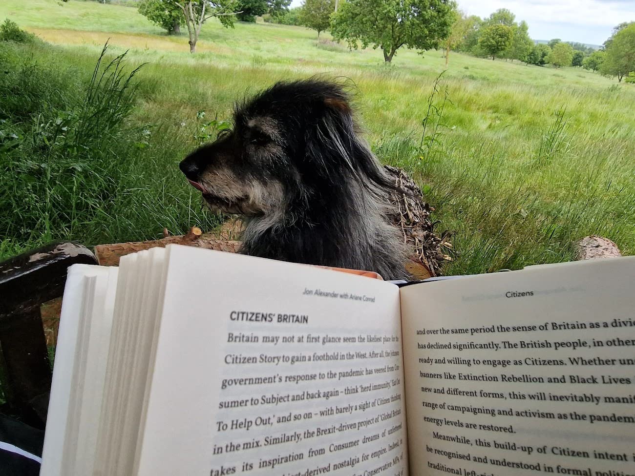 Citizens: Why the Key to Fixing Everything is All of Us: Amazon.co.uk ...