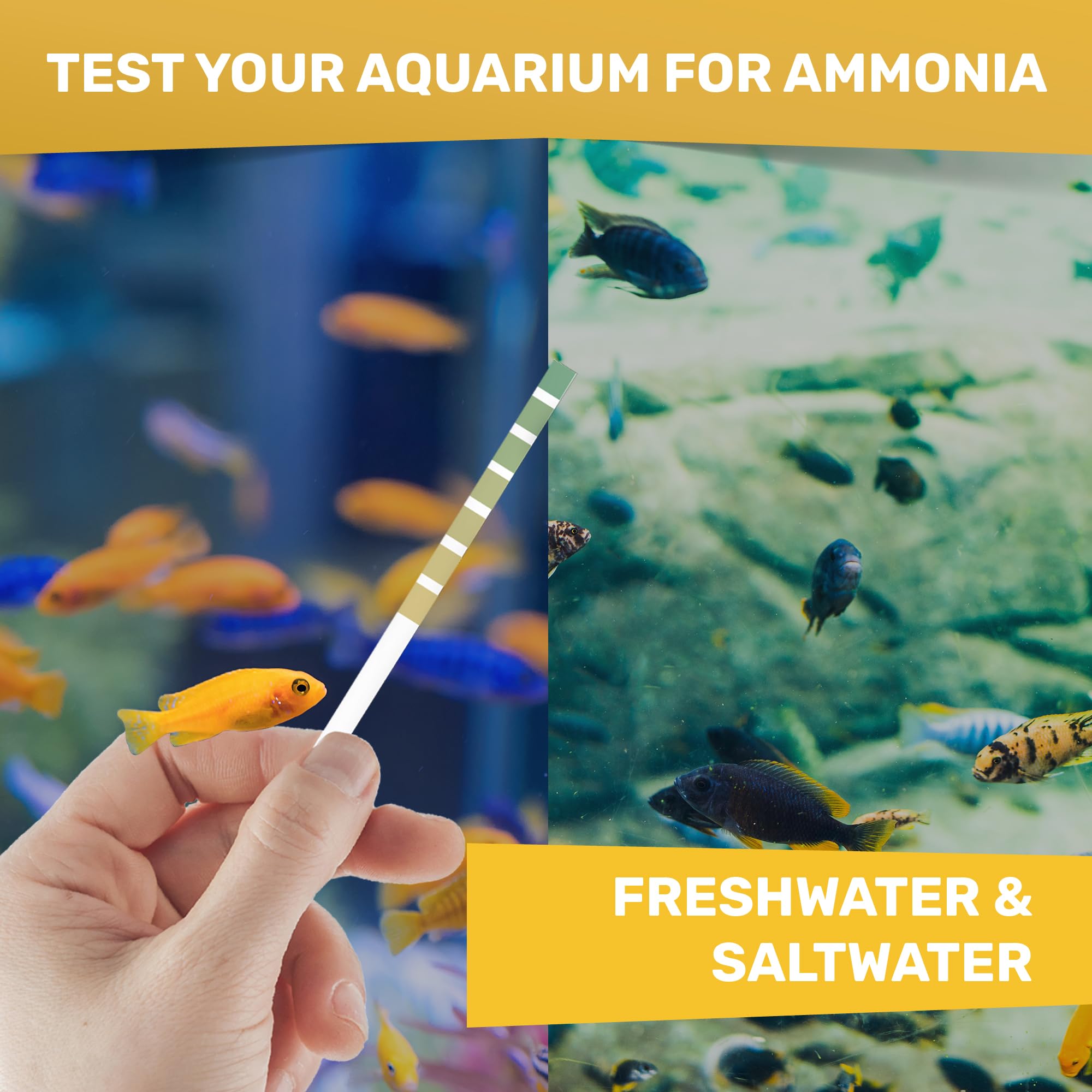 Snapklik.com : JNW Direct Ammonia Test Strips For Fish Tank - 50 ...