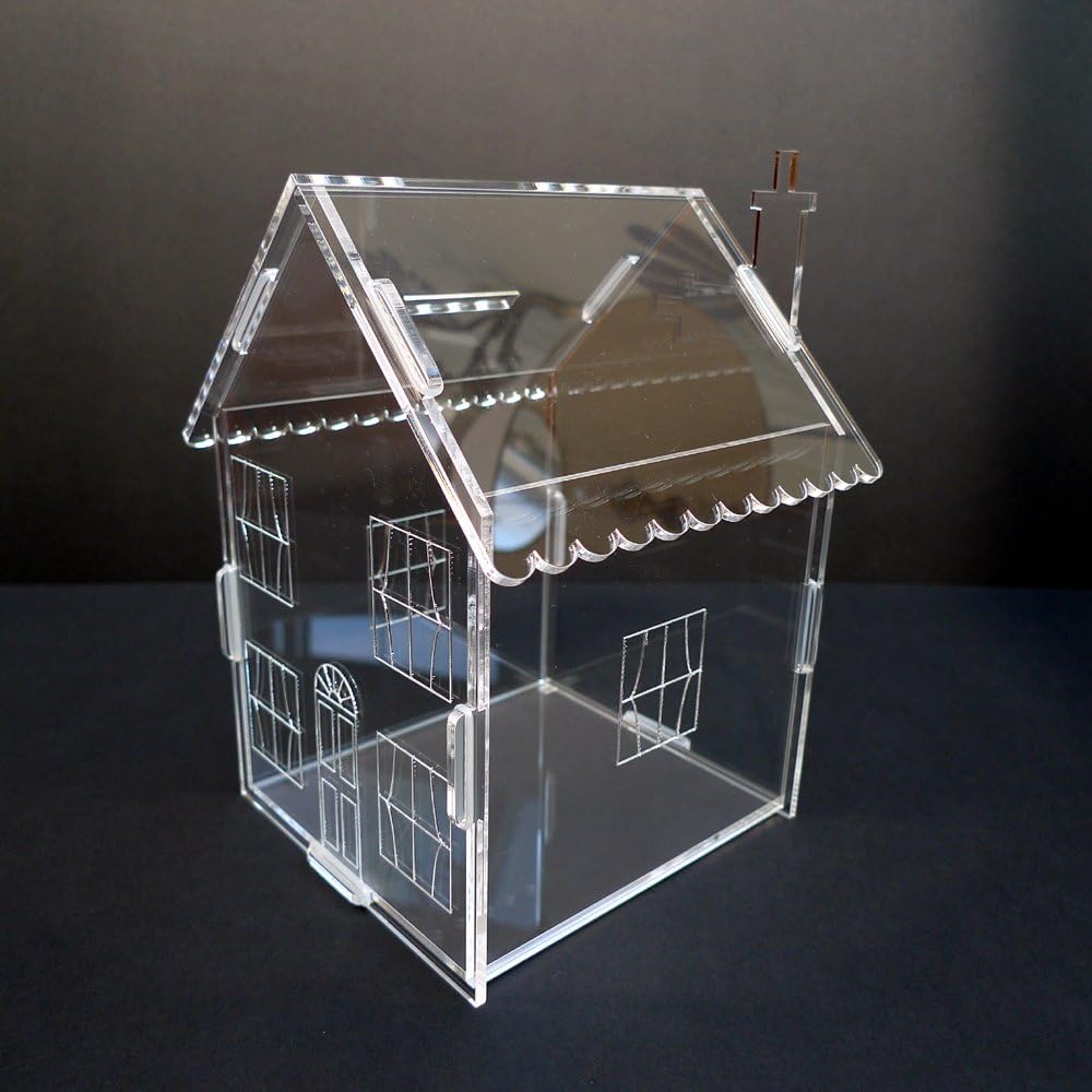 Amazon.com: Acrylic Money Box - House Shaped & Engraved