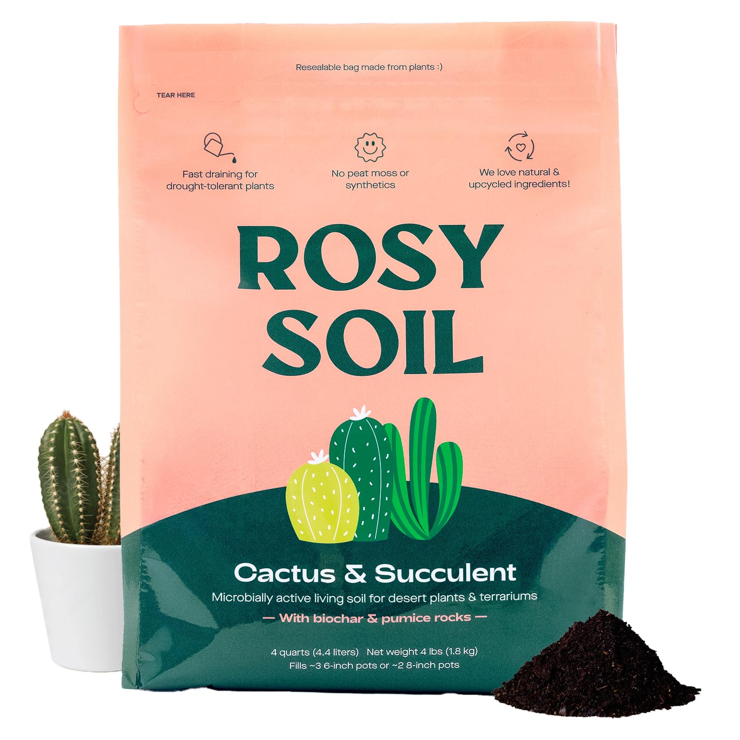 Amazon.com : Rosy Soil Cactus and Succulent Potting Soil Mix for ...