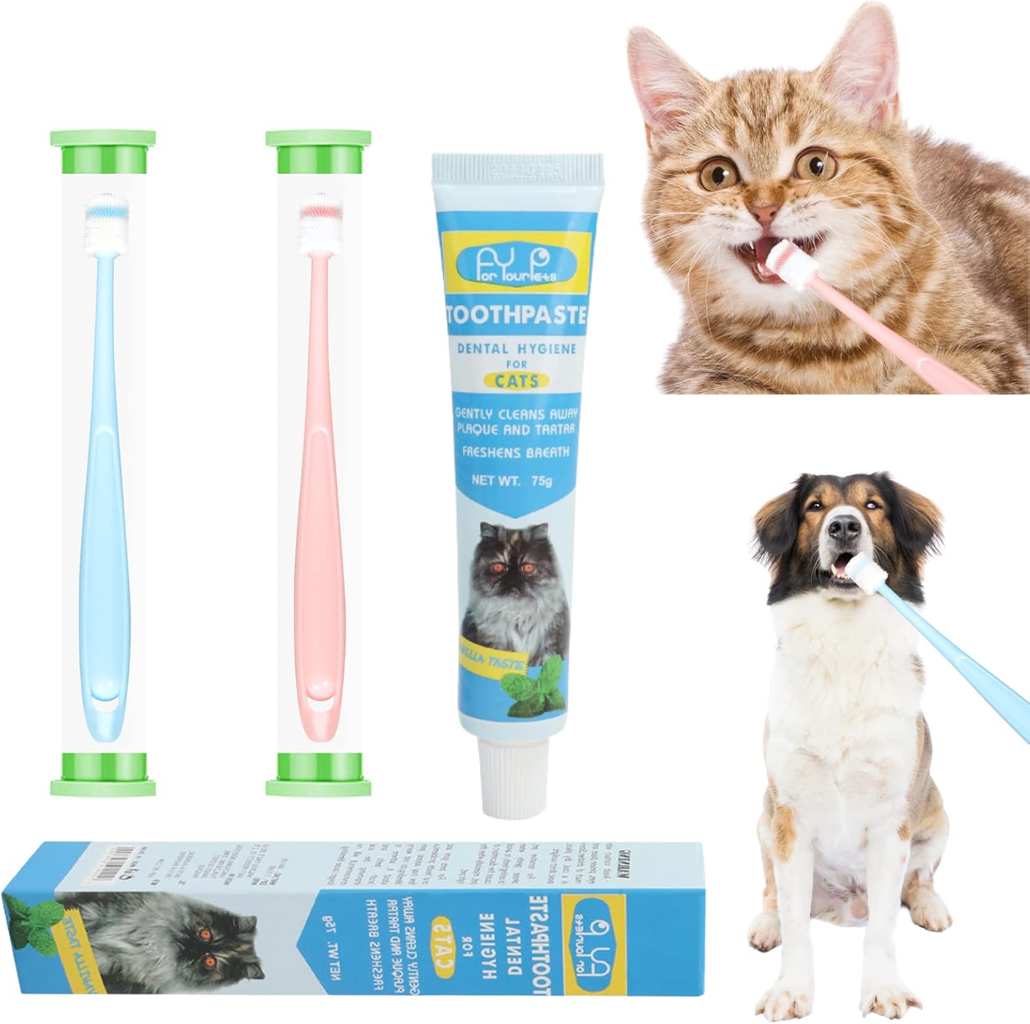 Amazon.com: CUECOMER Pet Cat Dog Toothbrush and Toothpaste Brushing Kit ...