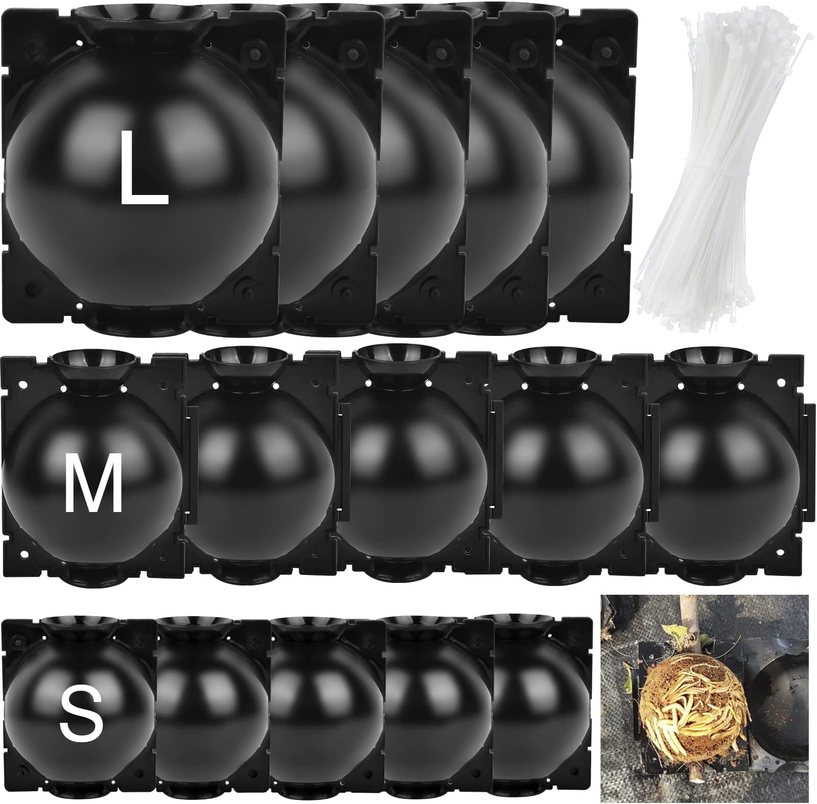 Amazon.com : Plant Root Growing Box, 15Pcs Reusable Plant Rooting ...