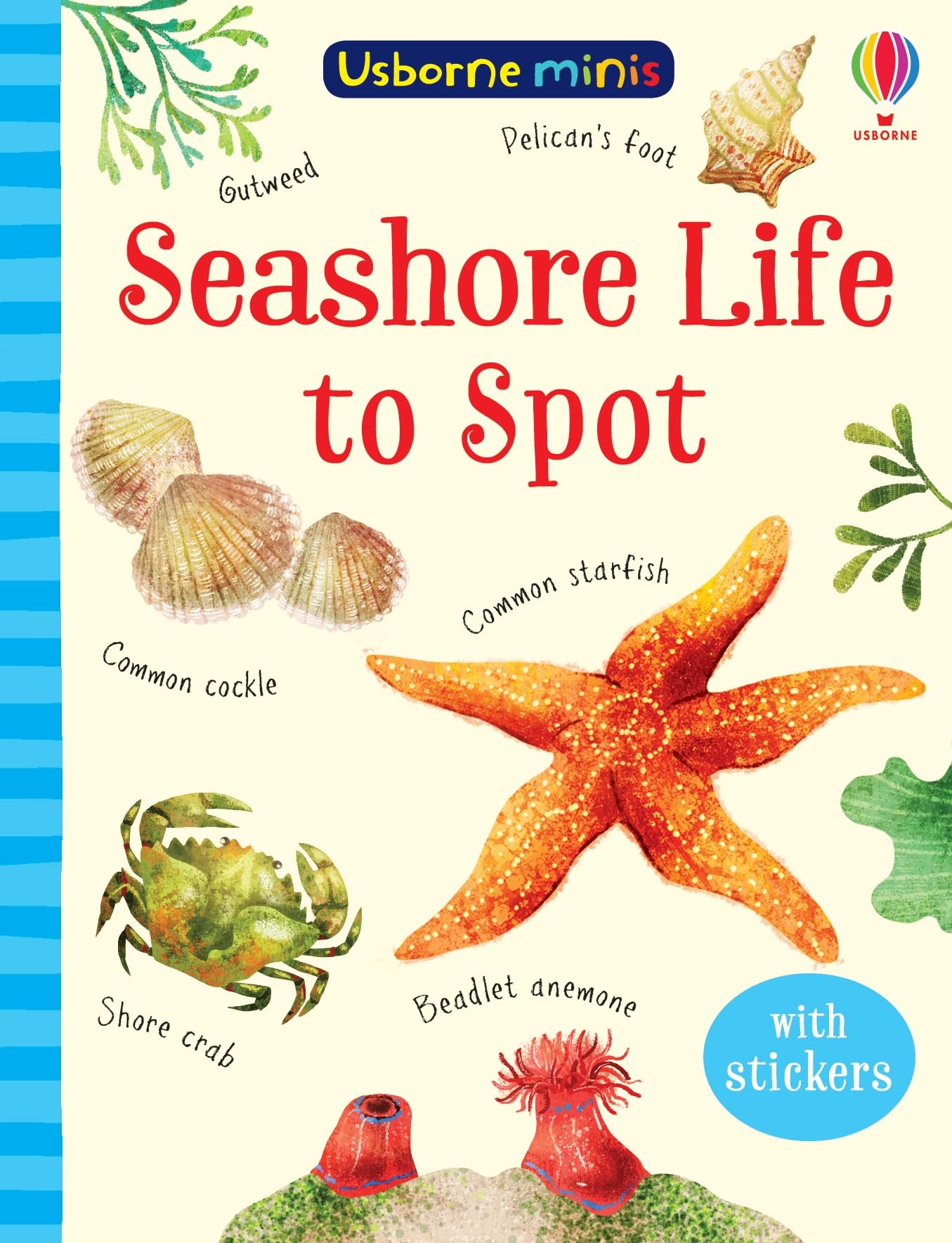 Seashore Life to Spot (Usborne Mini Books): 1 (Usborne Minis) : Sam ...