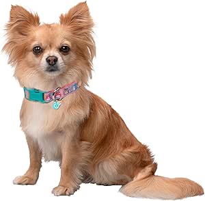 Amazon.com: Squishmallows Original Squish Squad Pet Collar (Small ...