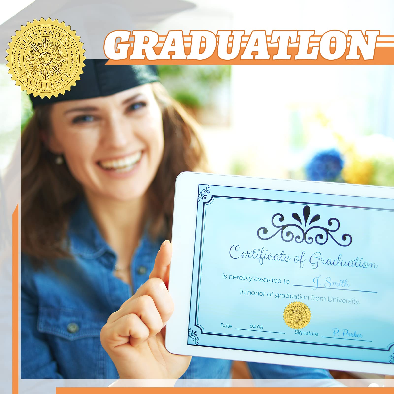 Outstanding Excellence Seal