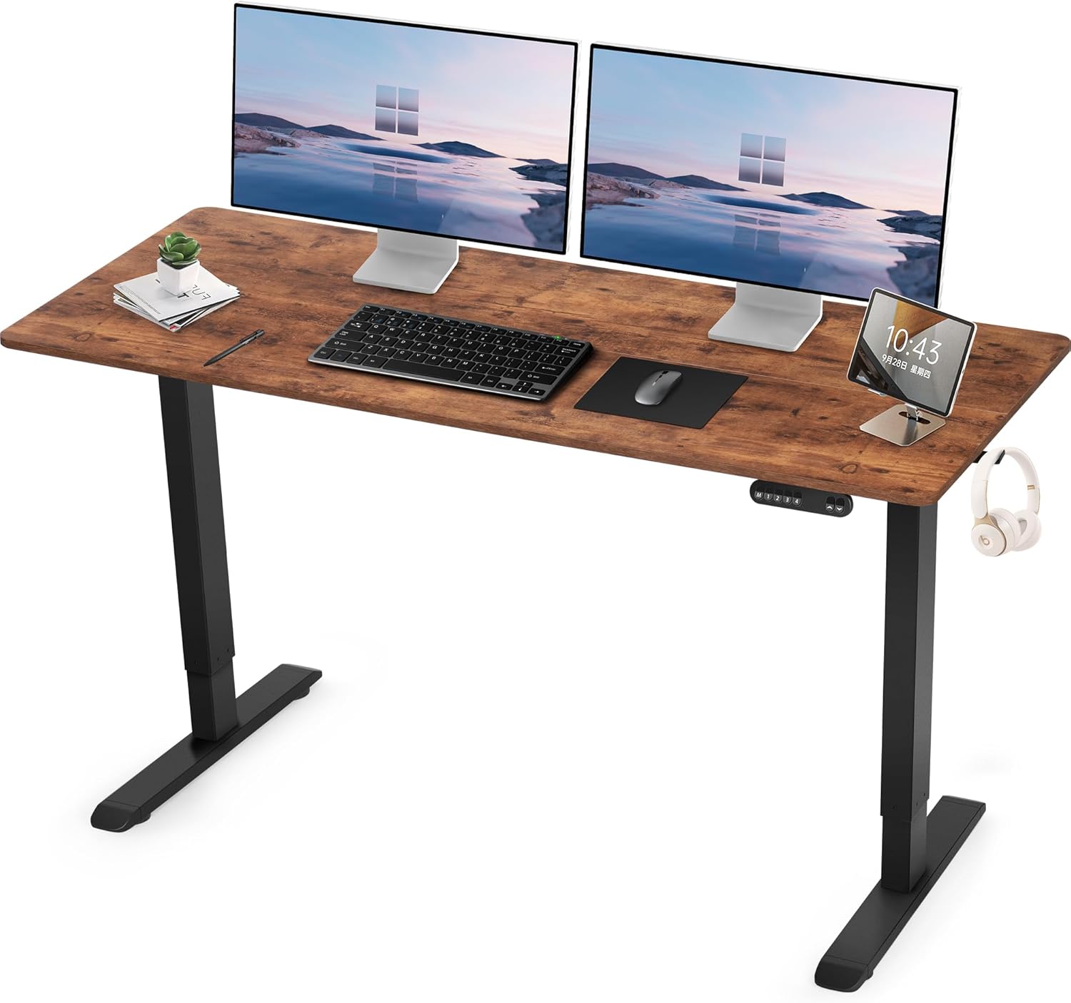 Amazon.com: Lynxor 60 x 24 Inches Electric Standing Desk, Adjustable ...