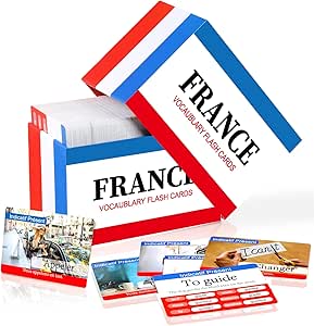Amazon.com: gisgfim 300 Pcs French Vocabulary Flash Cards Beginner ...