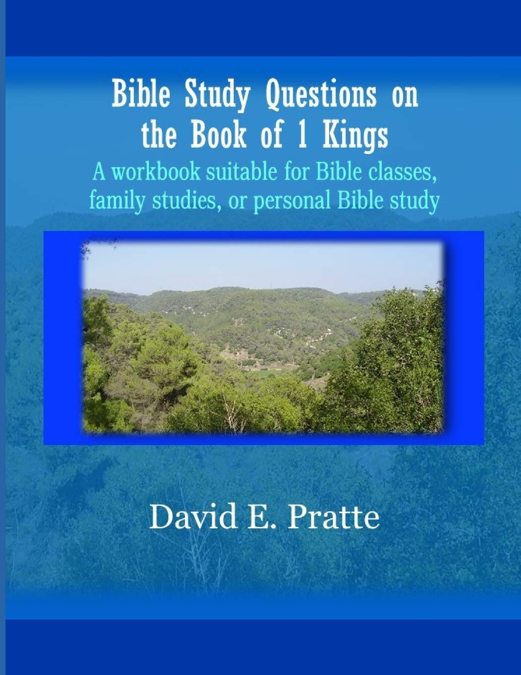 Bible Study Questions on the Book of 1 Kings: A workbook suitable for ...