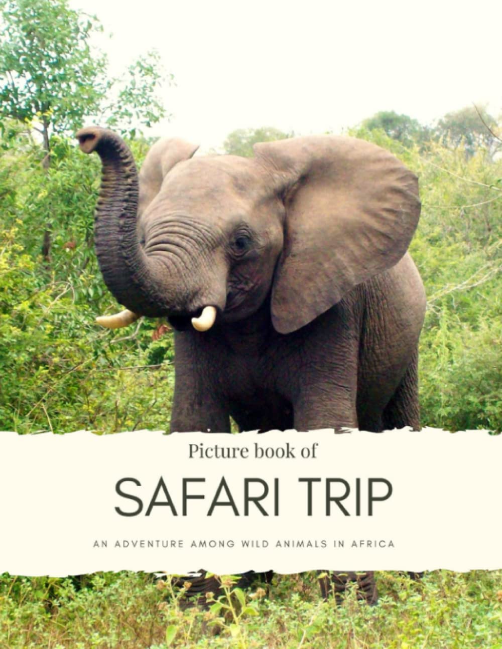Amazon.com: Picture Book of Safari Trip: An adventure among wild ...