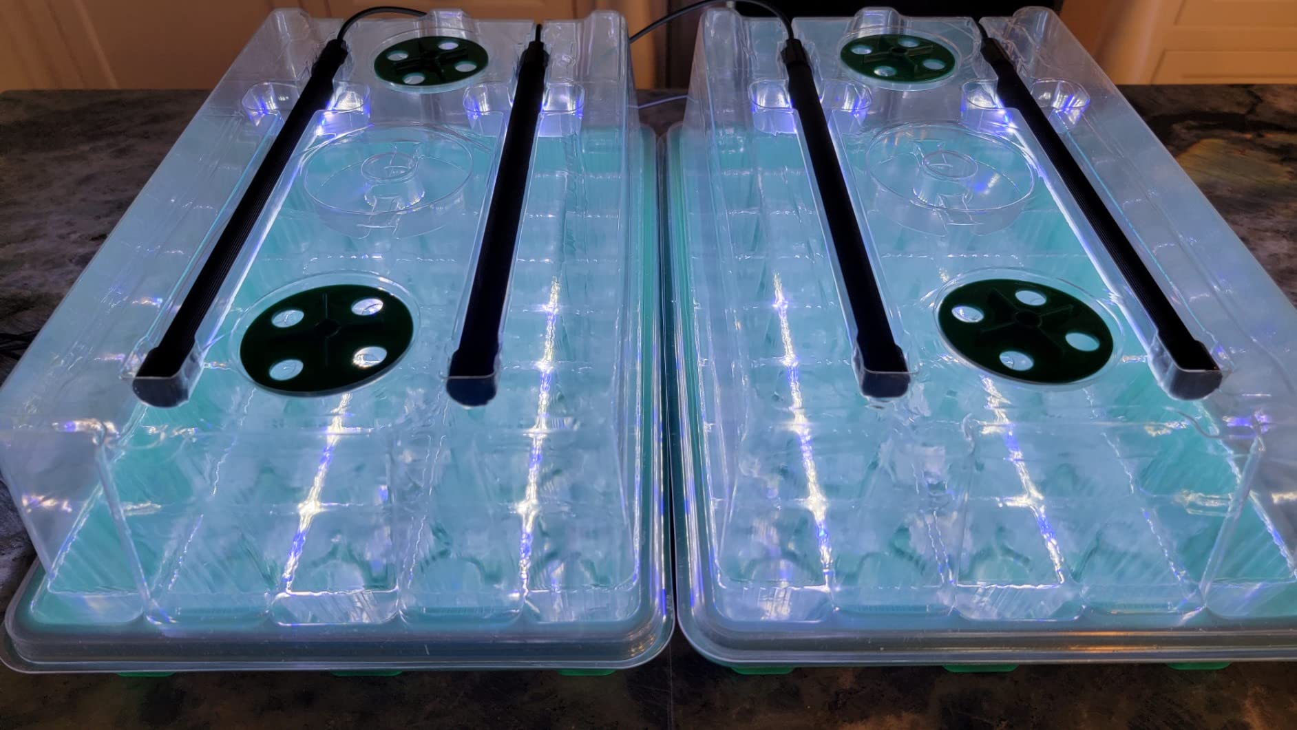 $8/mo - Finance BlumWay Seed Starter Tray with Grow Light,2 Pack 80 ...