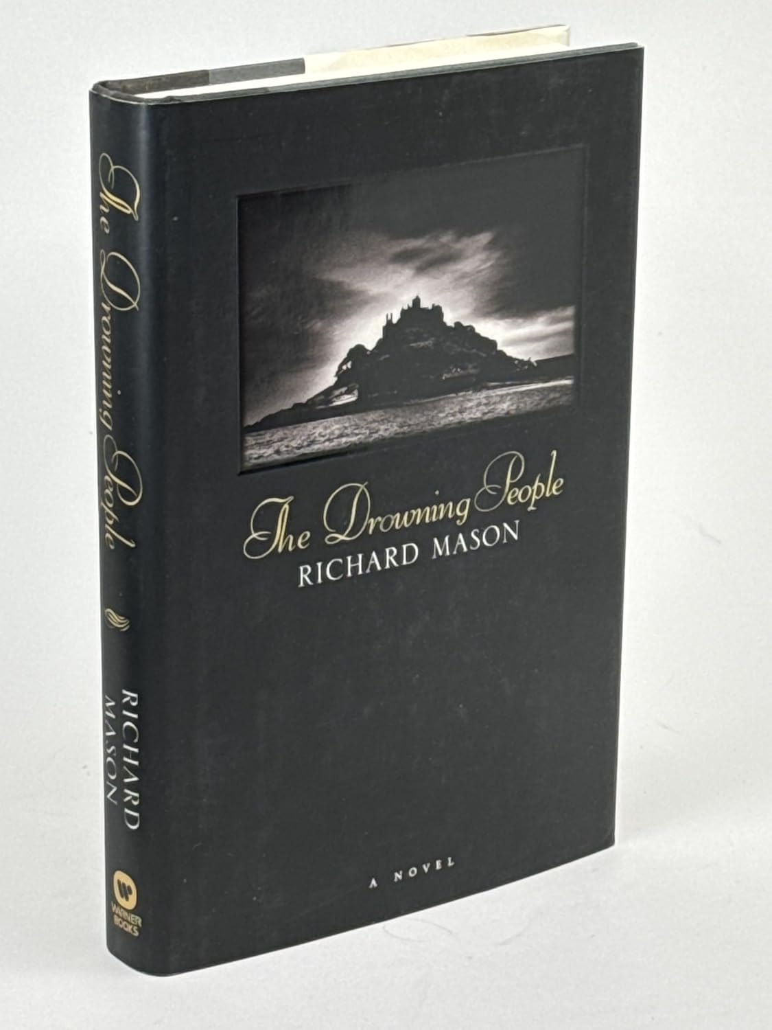 The Drowning People: Mason, Richard: 9780446525244: Amazon.com: Books
