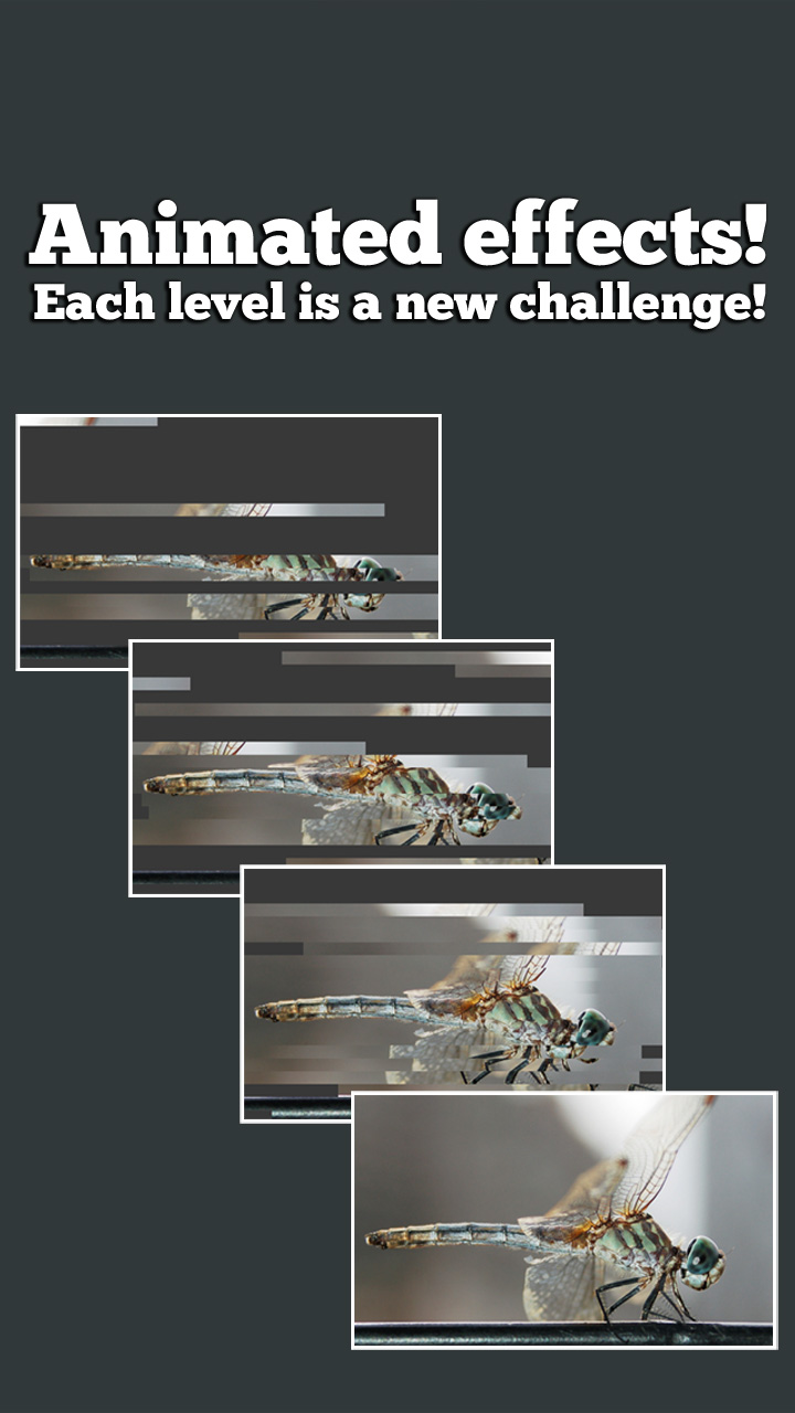 Eye Know: Animals - App on Amazon Appstore